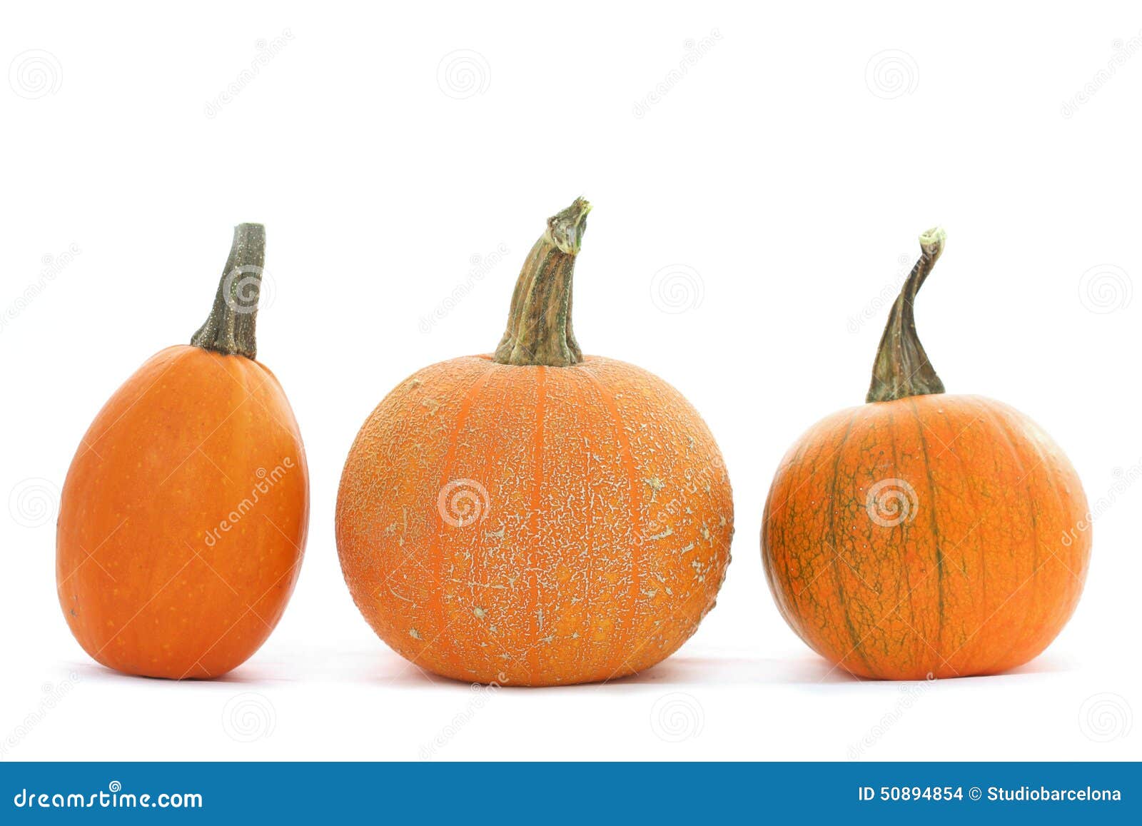 Three pumpkins isolated stock photo. Image of decorative - 50894854