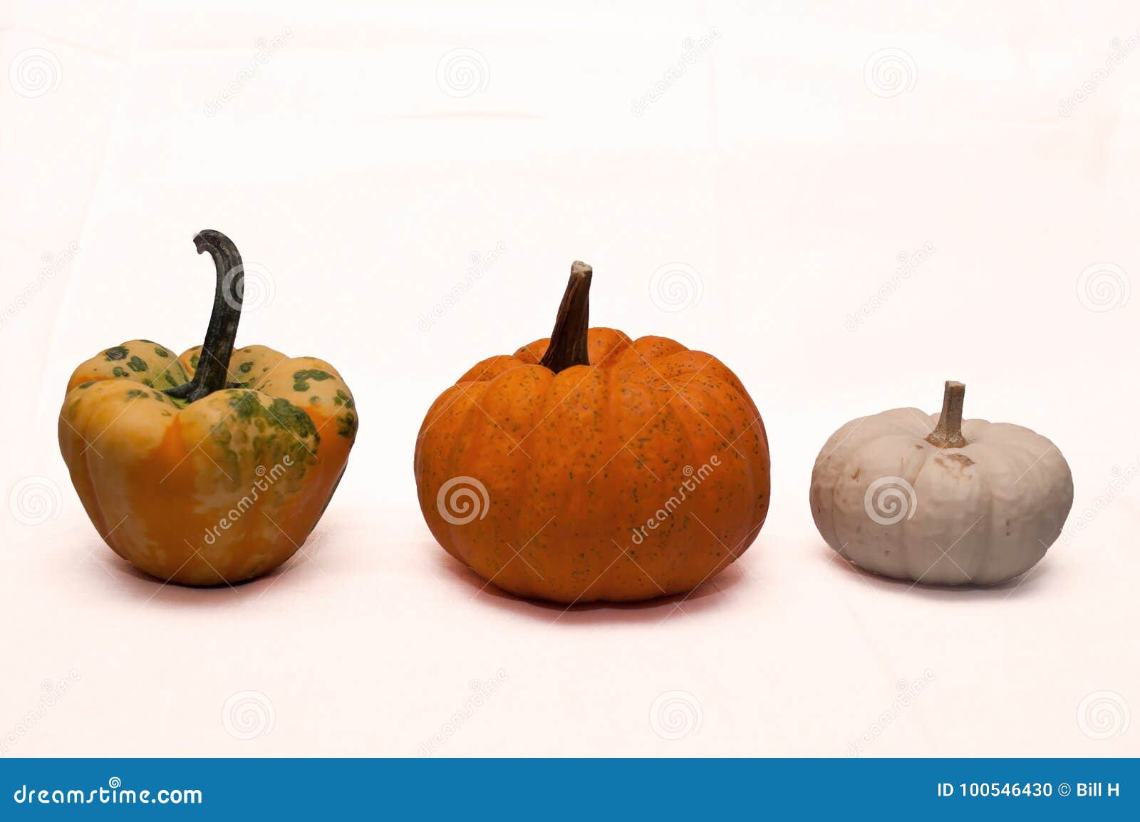 Three pumpkins lined up stock photo. Image of halloween - 100546430