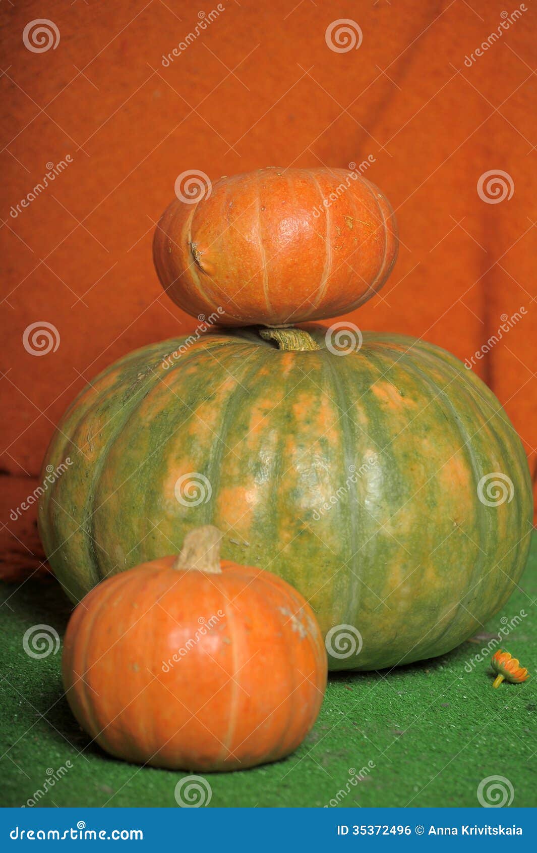 Three pumpkins stock photo. Image of numbers, three, happy - 35372496