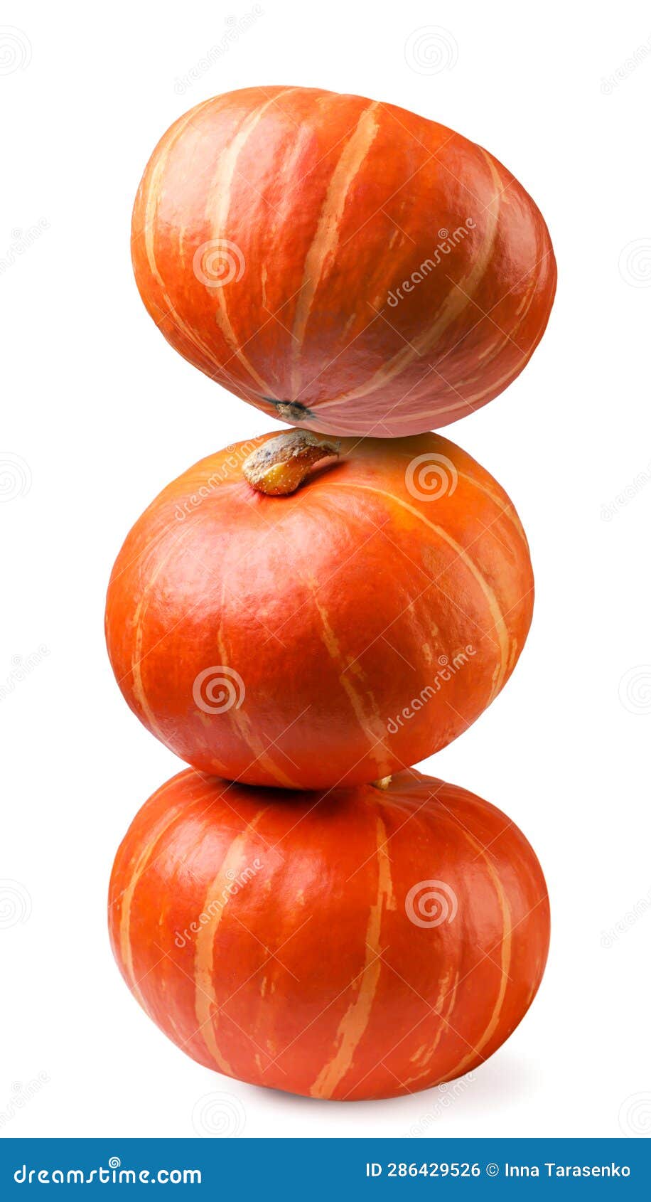 Three Pumpkins Stand on Top of Each Other on a White Background ...
