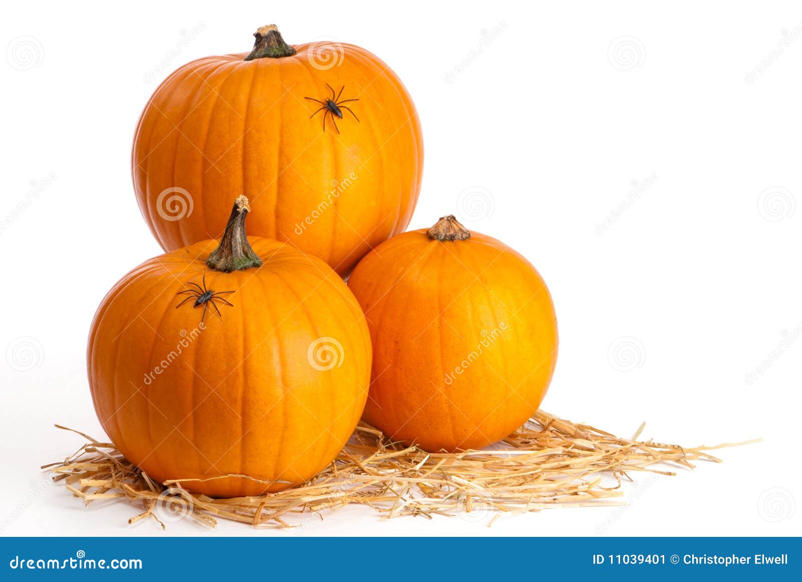 Three Pumpkins on Straw stock image. Image of background - 11039401