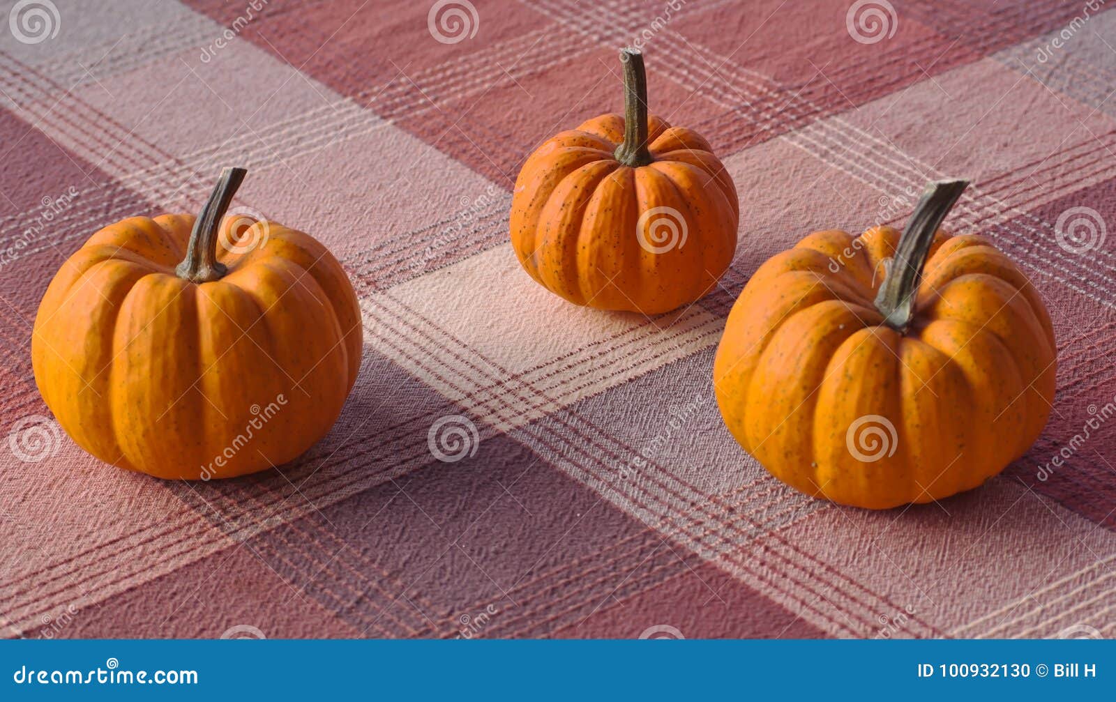 Three pumpkins on a table stock photo. Image of food - 100932130