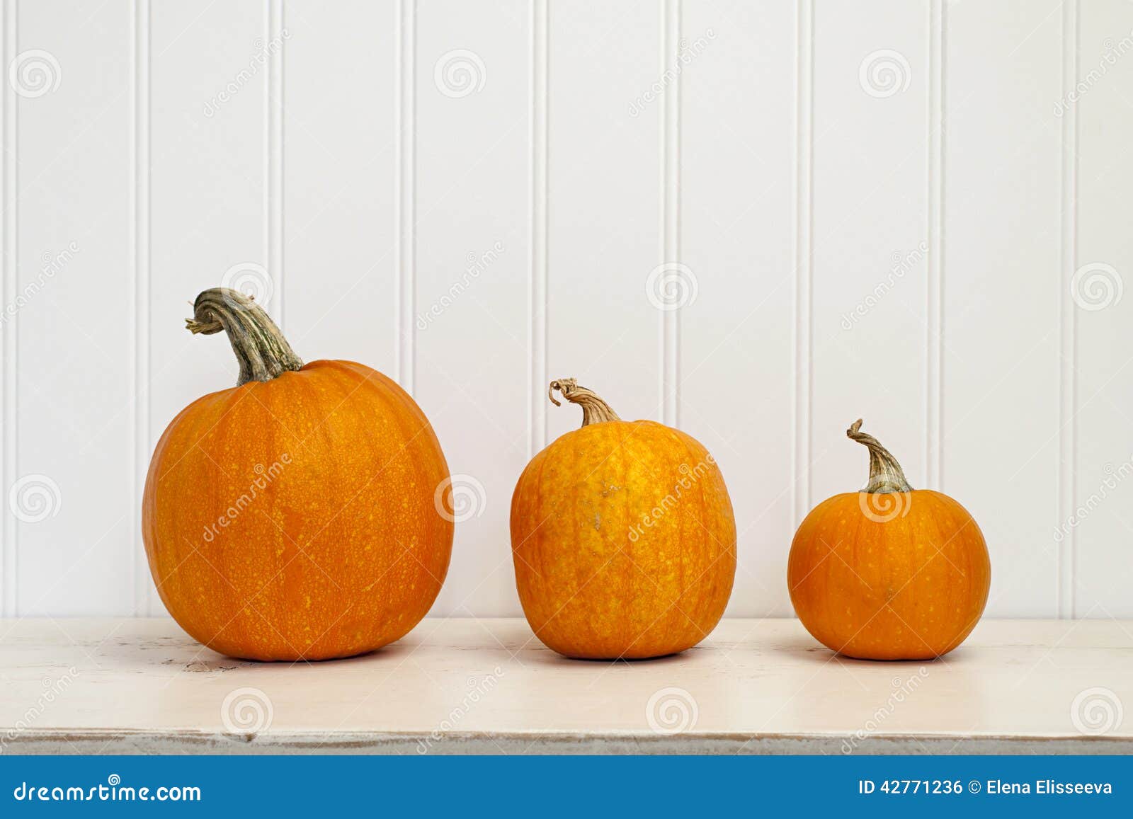 Three pumpkins stock photo. Image of halloween, size - 42771236