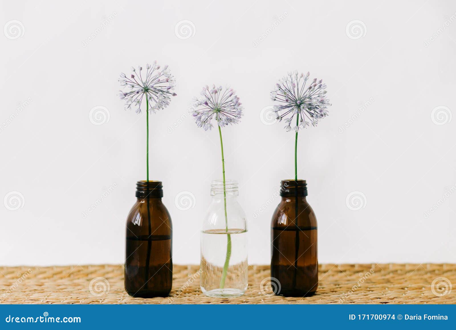 Three Purple Round Flowers in Glass Jars a Wicker Table Stock Photo ...