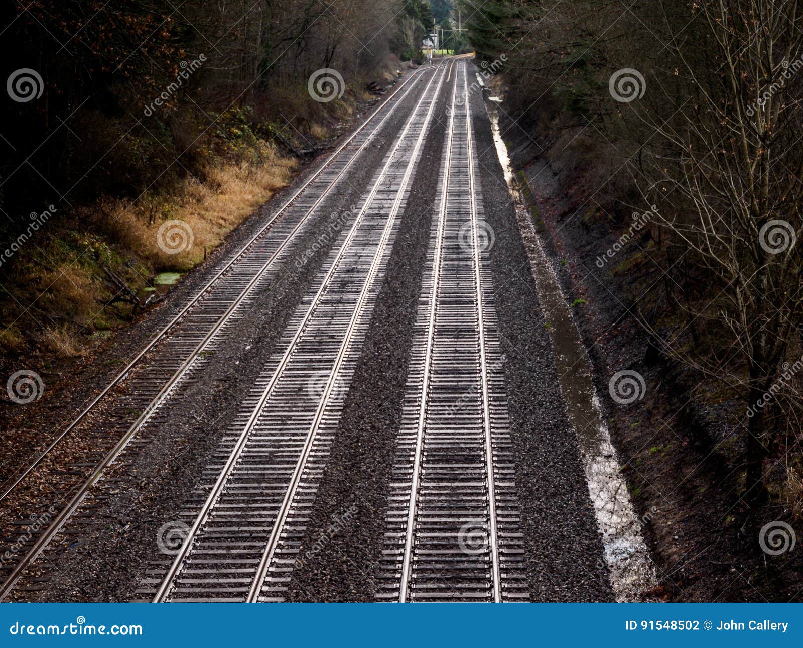 Three Rails Railroad stock photo. Image of plant, tracks - 91548502