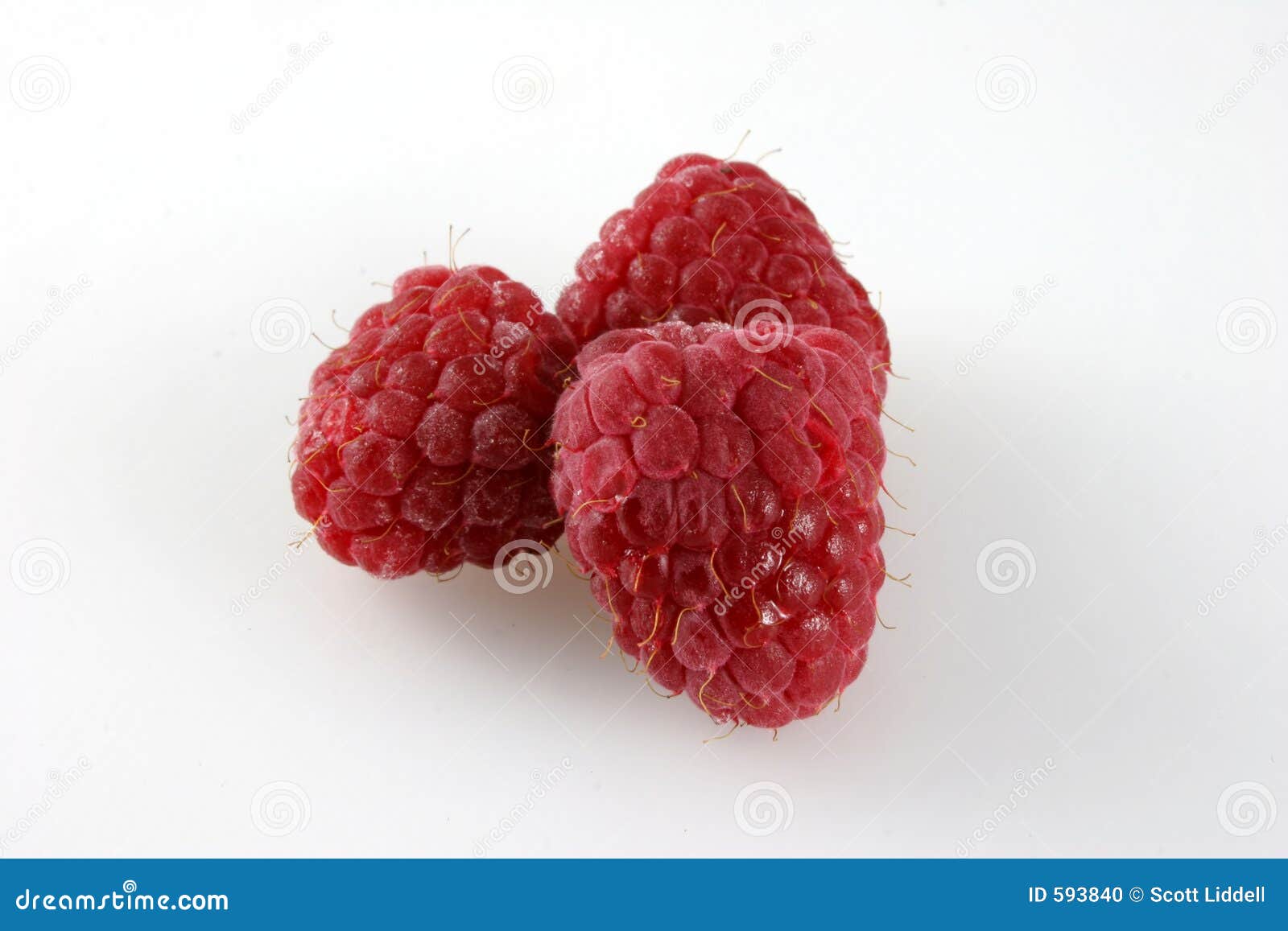 Three Raspberries stock photo. Image of berry, raspberry - 593840