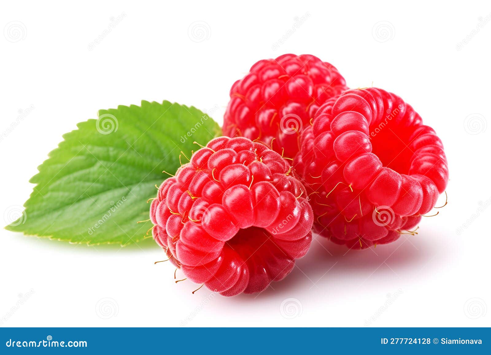 Three Raspberries with Leaf Isolated on White Background Stock ...