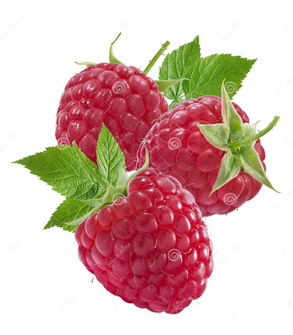 Three Raspberries and Leaves Isolated on White Background Stock Photo ...