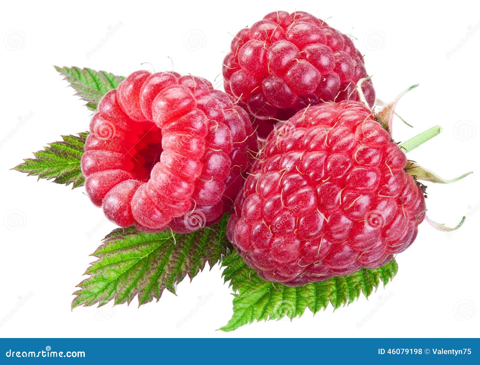 Three Raspberries with Leaves Isolated on a White. Stock Photo - Image ...