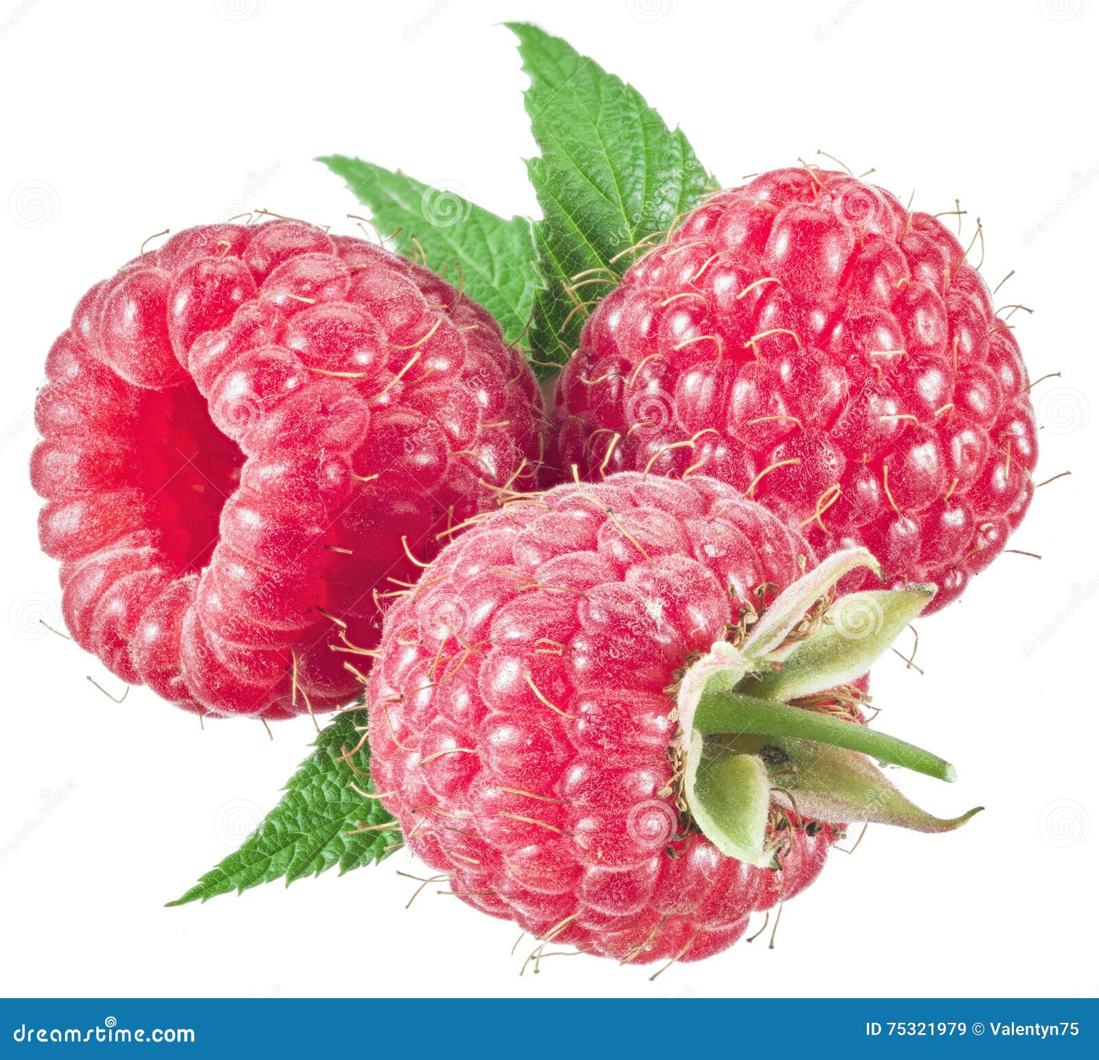 Three Raspberries with Leaves. Stock Image - Image of green, fruit ...