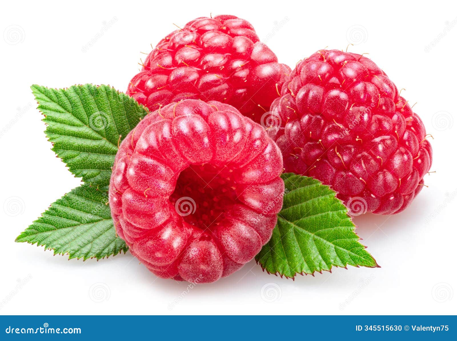 Three Raspberries with Raspberry Leaves Isolated on White Background ...