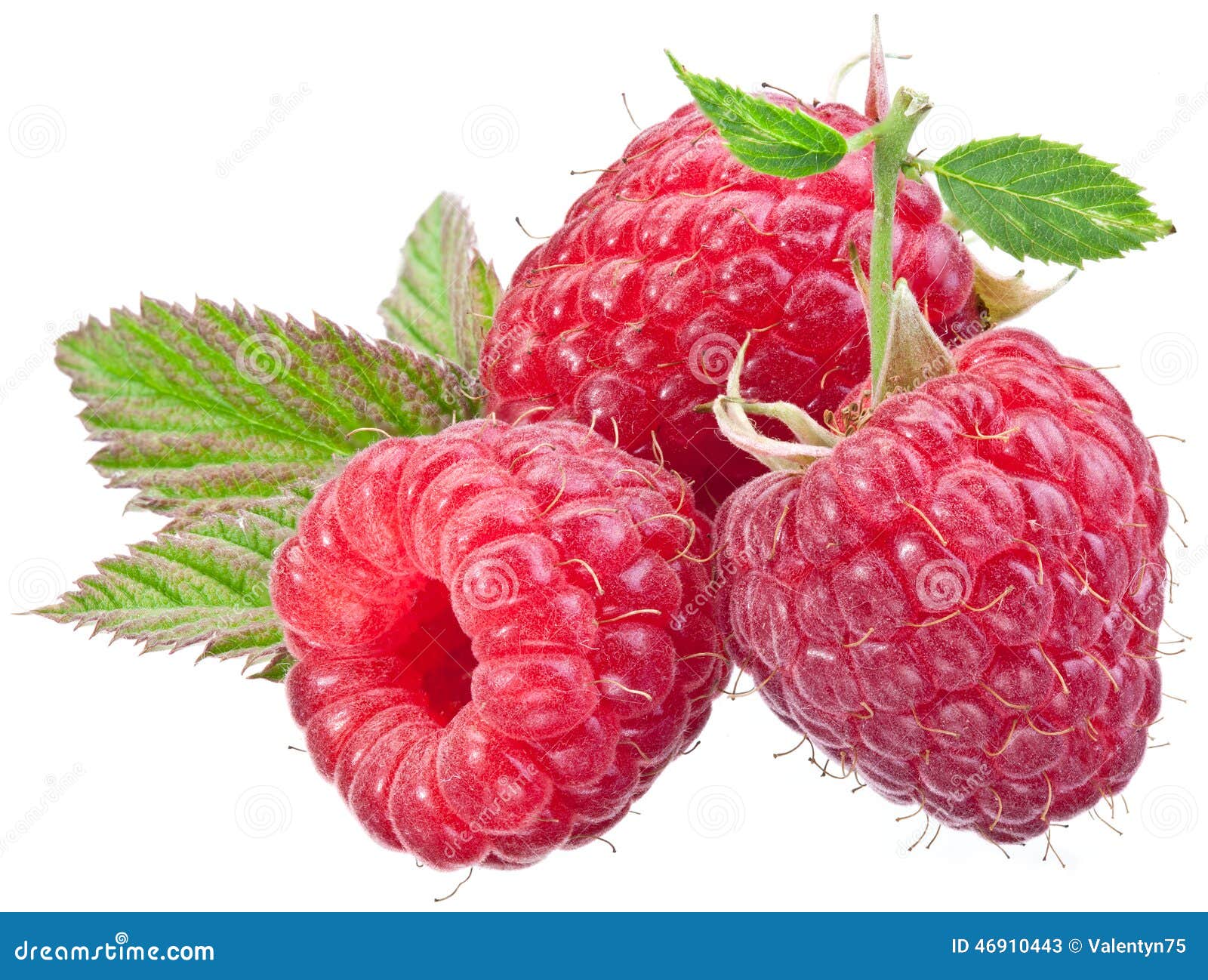Raspberry Is A Fruit Native To Europe And Northern Asia Which Is ...