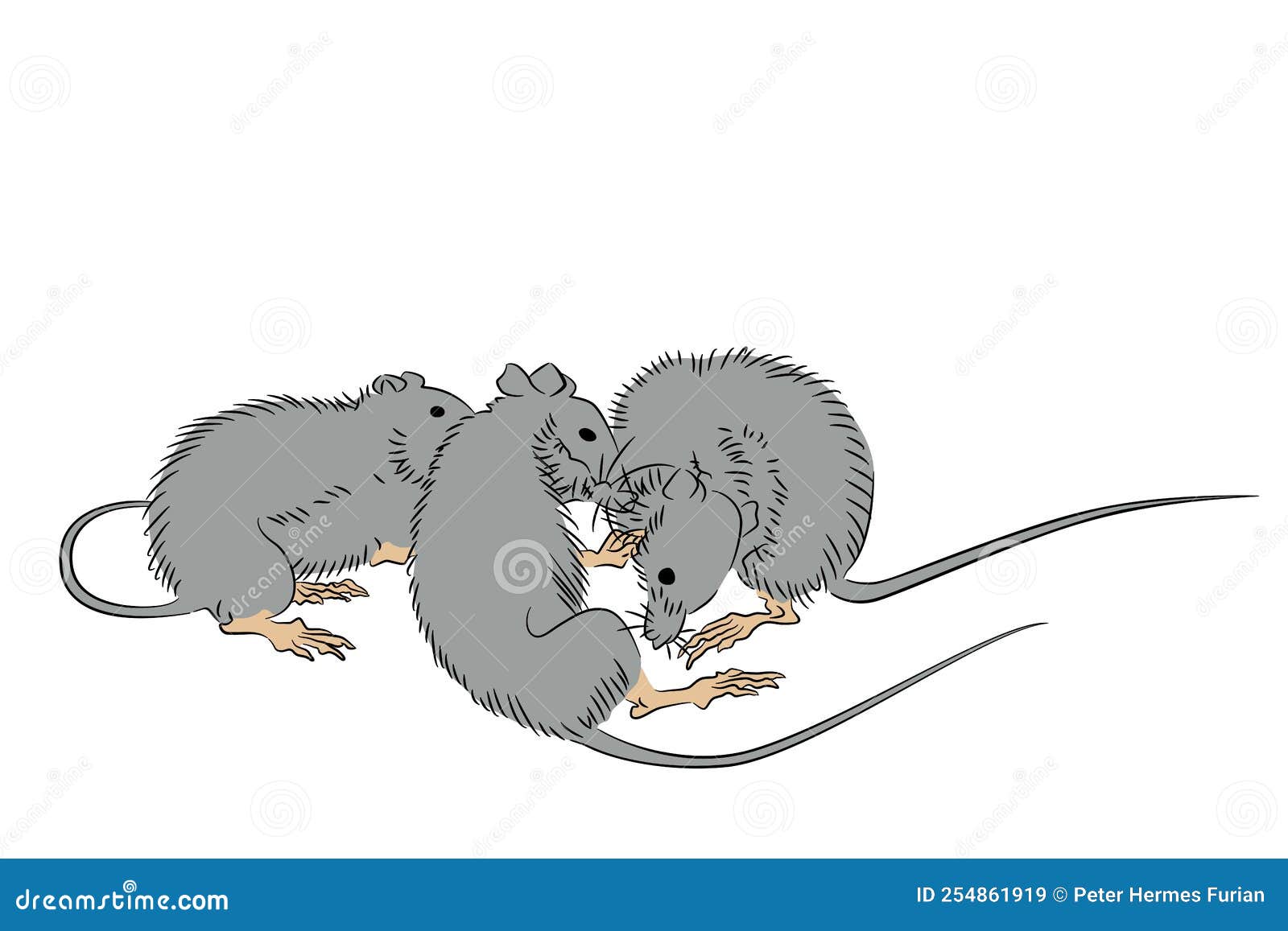 Three Rats, Detail after a Japanese Woodblock Print from Yoshitoshi ...