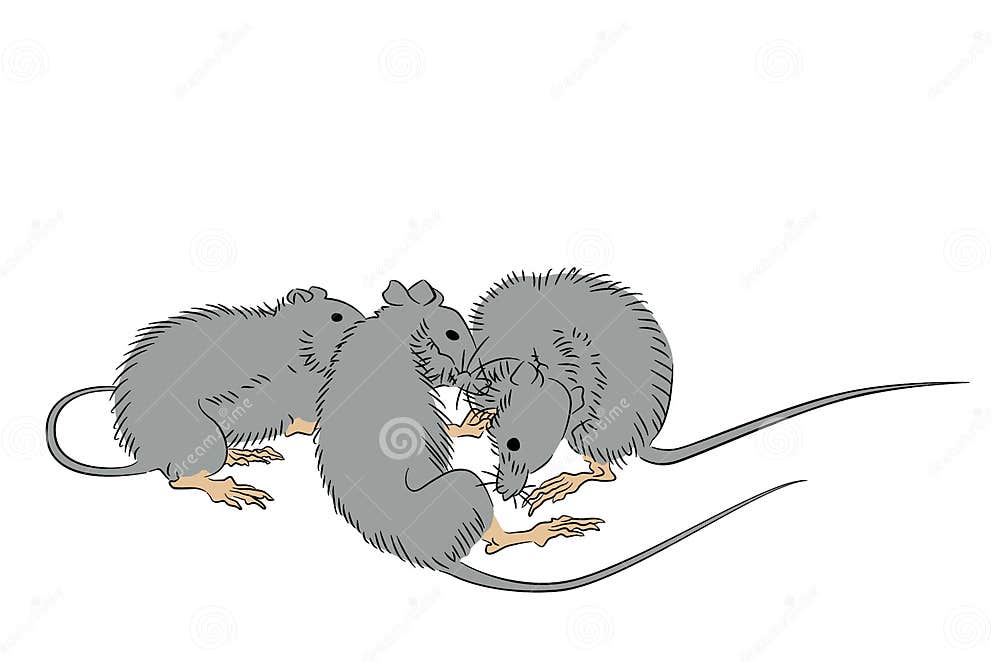 Three Rats, Detail after a Japanese Woodblock Print from Yoshitoshi ...