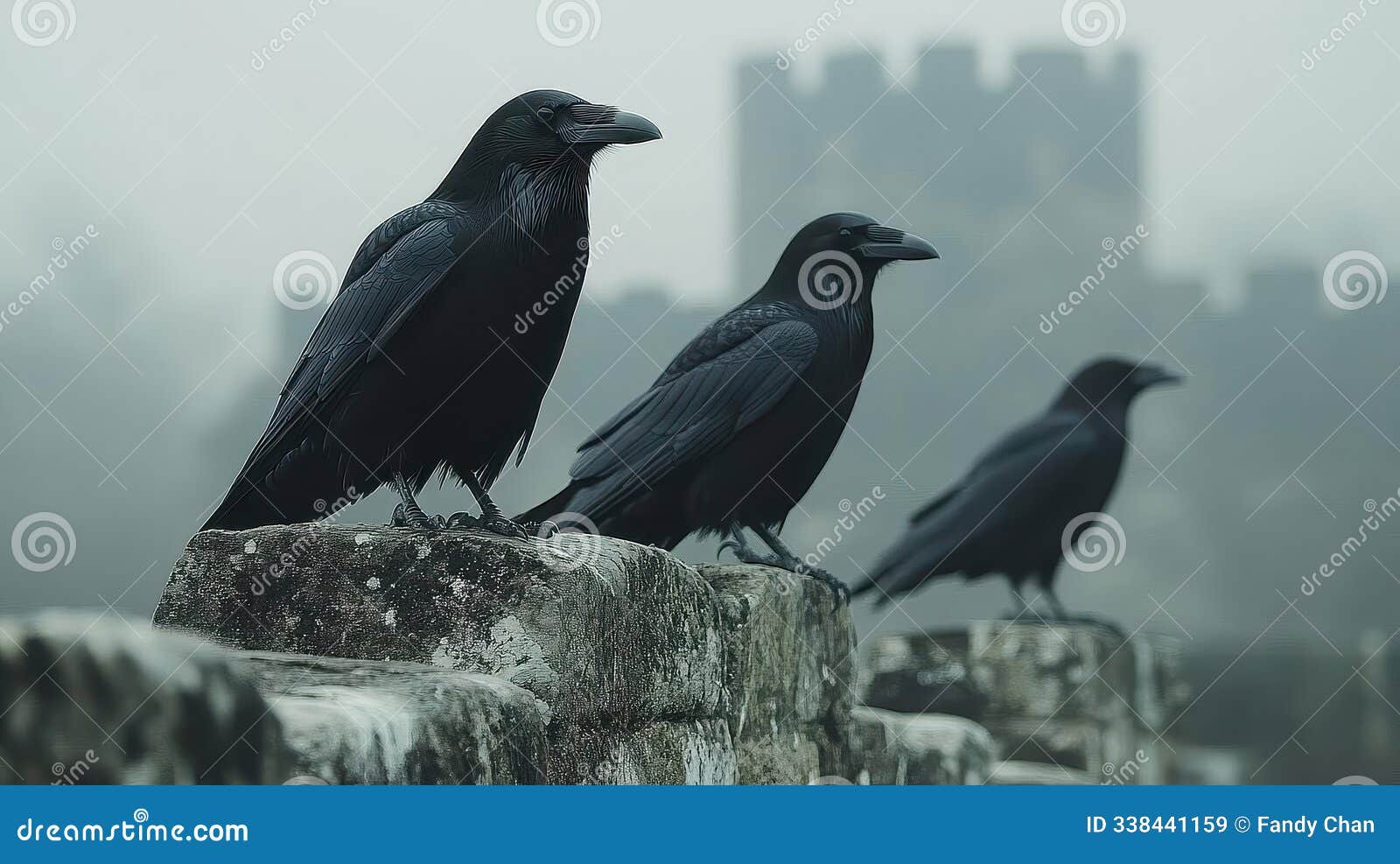 Three Ravens Perched on a Stone Wall Stock Illustration - Illustration ...
