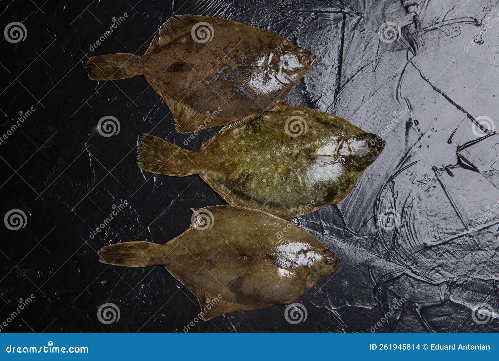 Three Raw Flounders Lie in a Row on Black Slate, Sea Fish Stock Photo ...