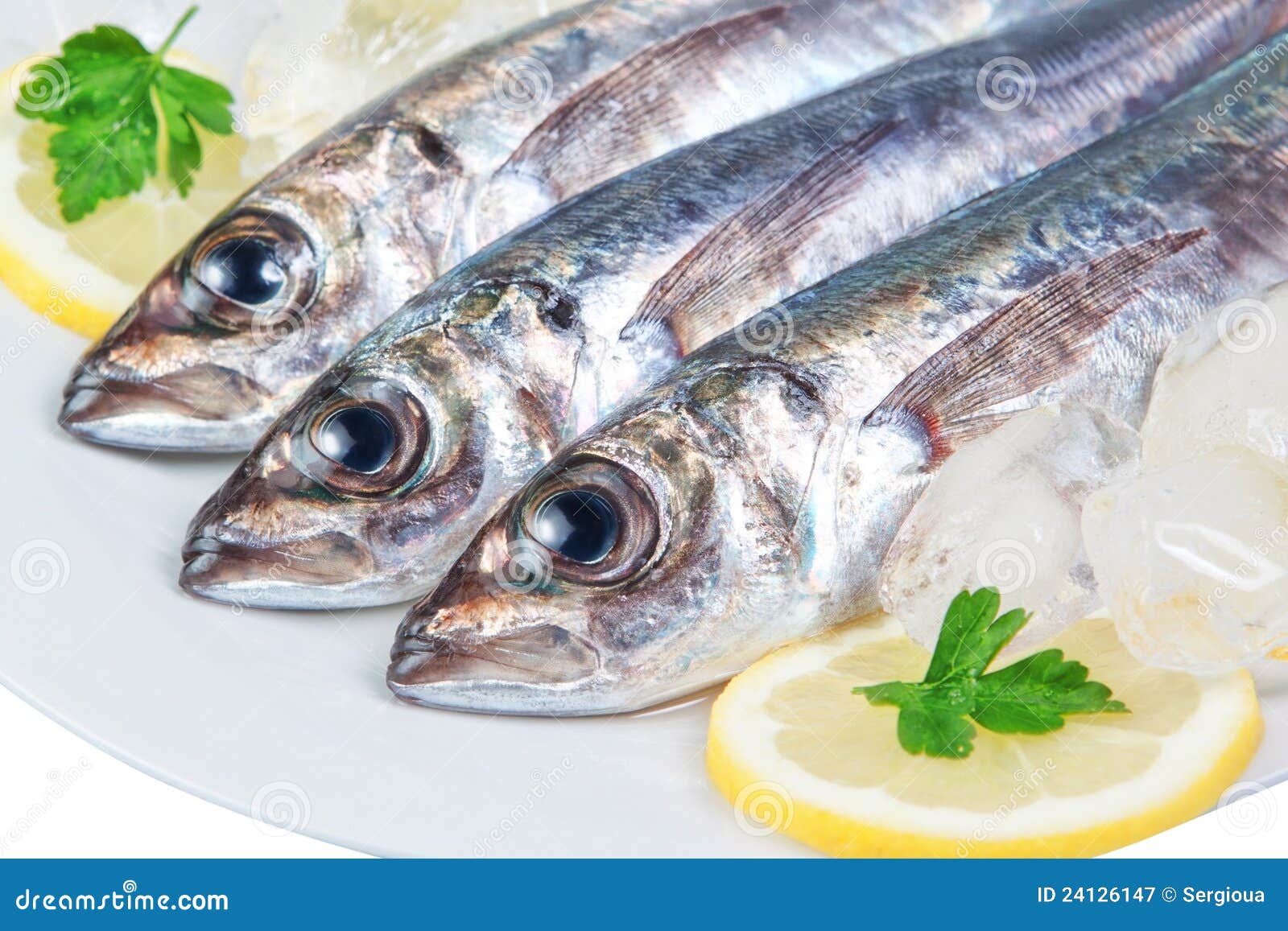 Three raw mackerel. stock image. Image of isolated, fishy - 24126147