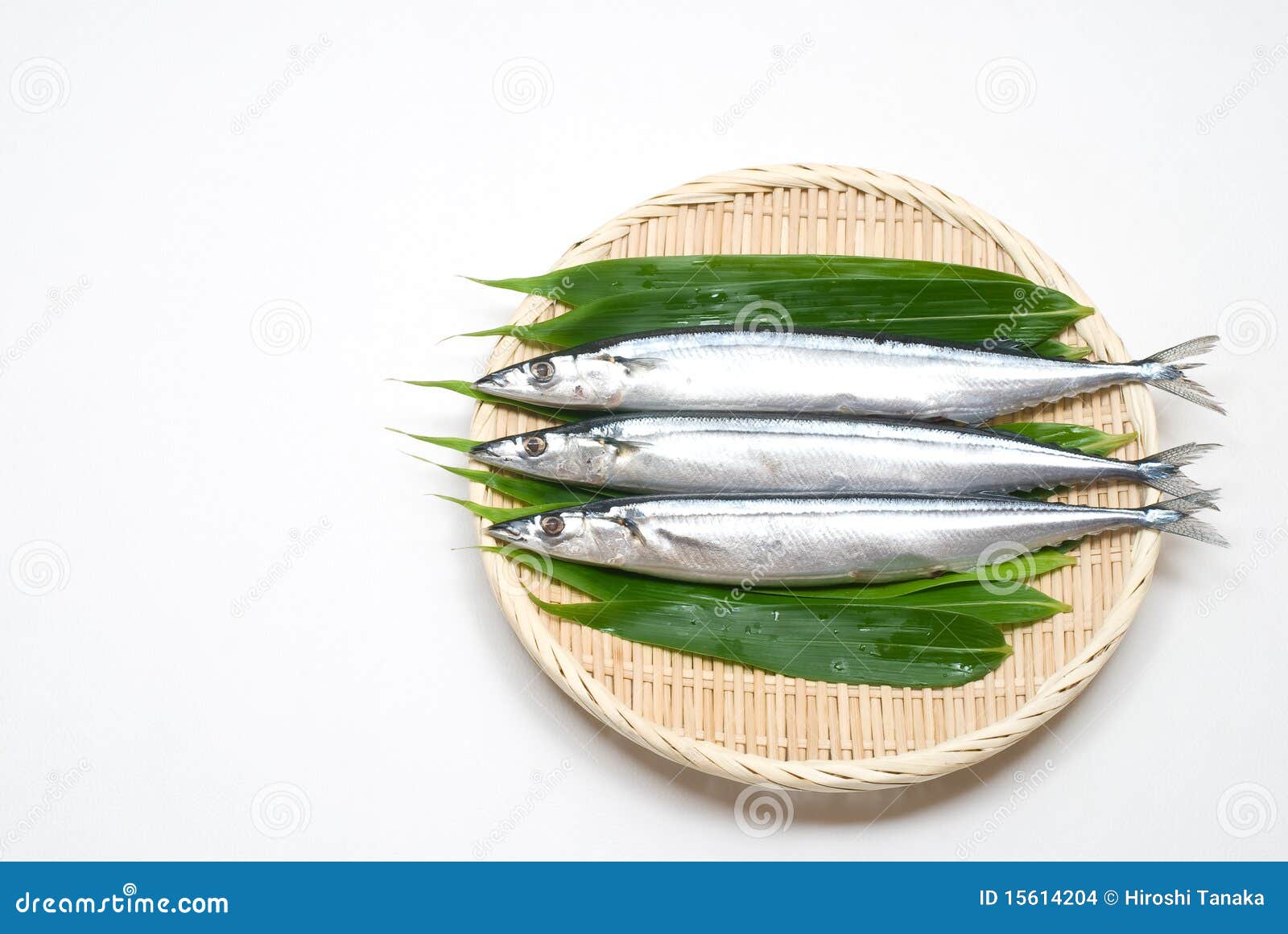 Three raw sauries stock photo. Image of autumn, fishery - 15614204