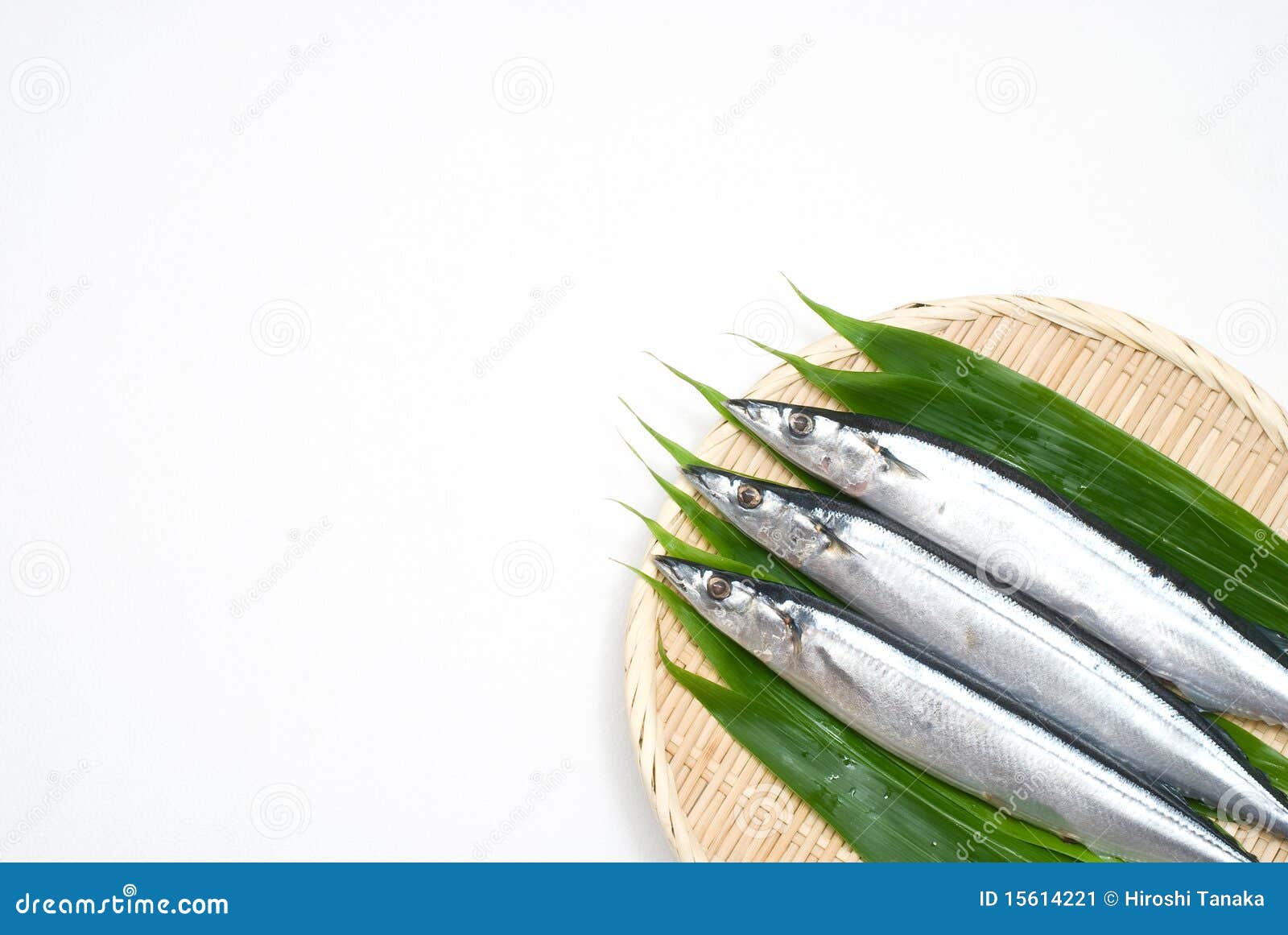 Three raw sauries stock image. Image of crude, ingredient - 15614221
