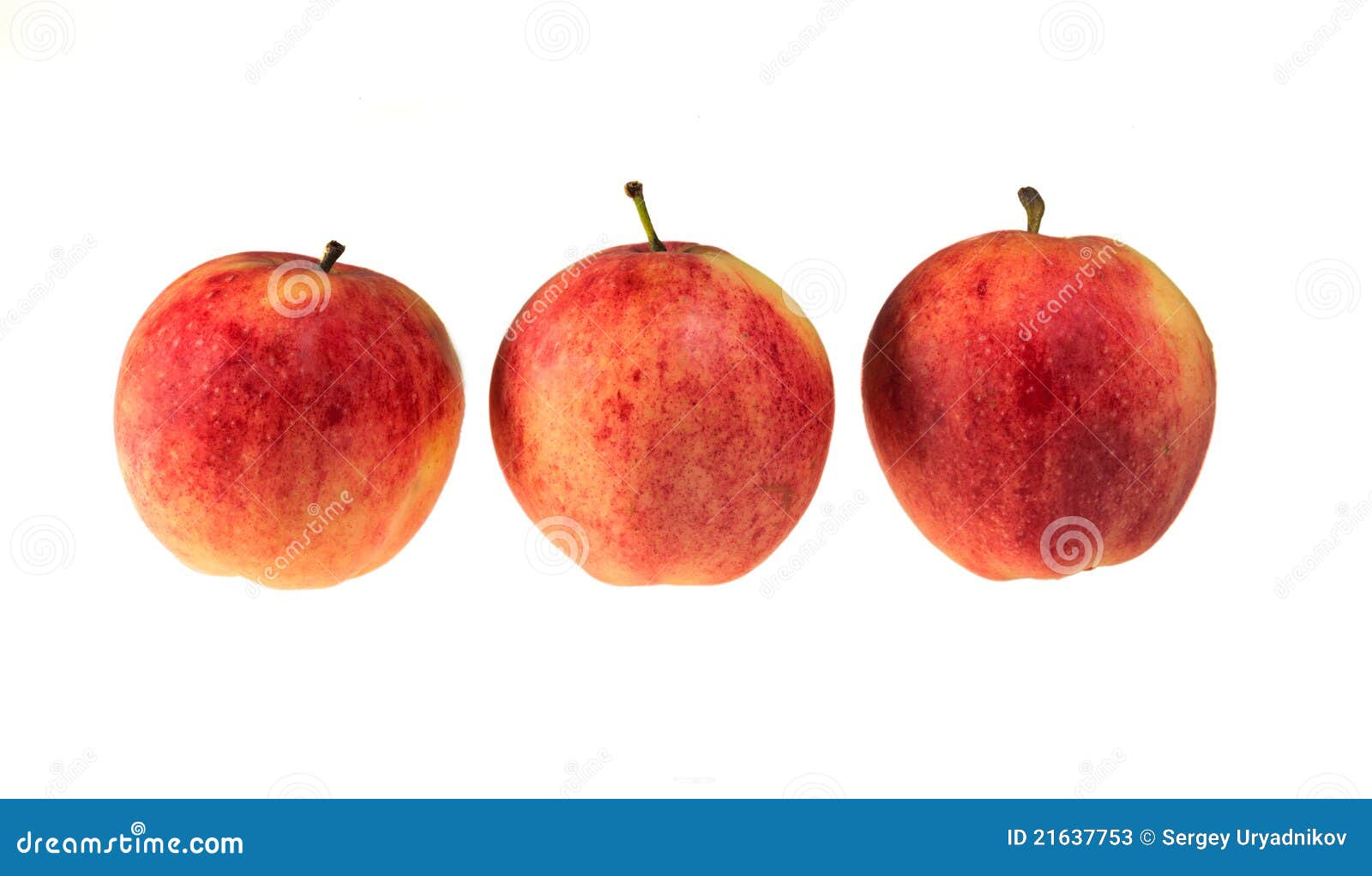 Three red apples. stock image. Image of ingredient, nutritious - 21637753