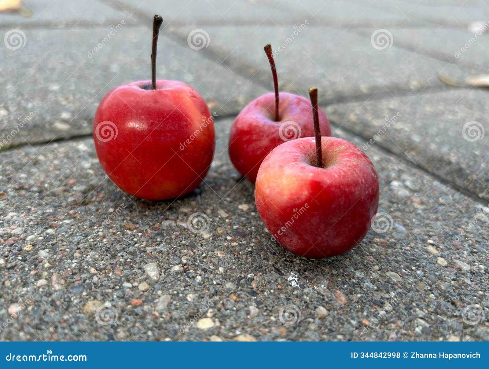 Three Red Apples are Lying on a Gray Paving Stone Stock Photo - Image ...