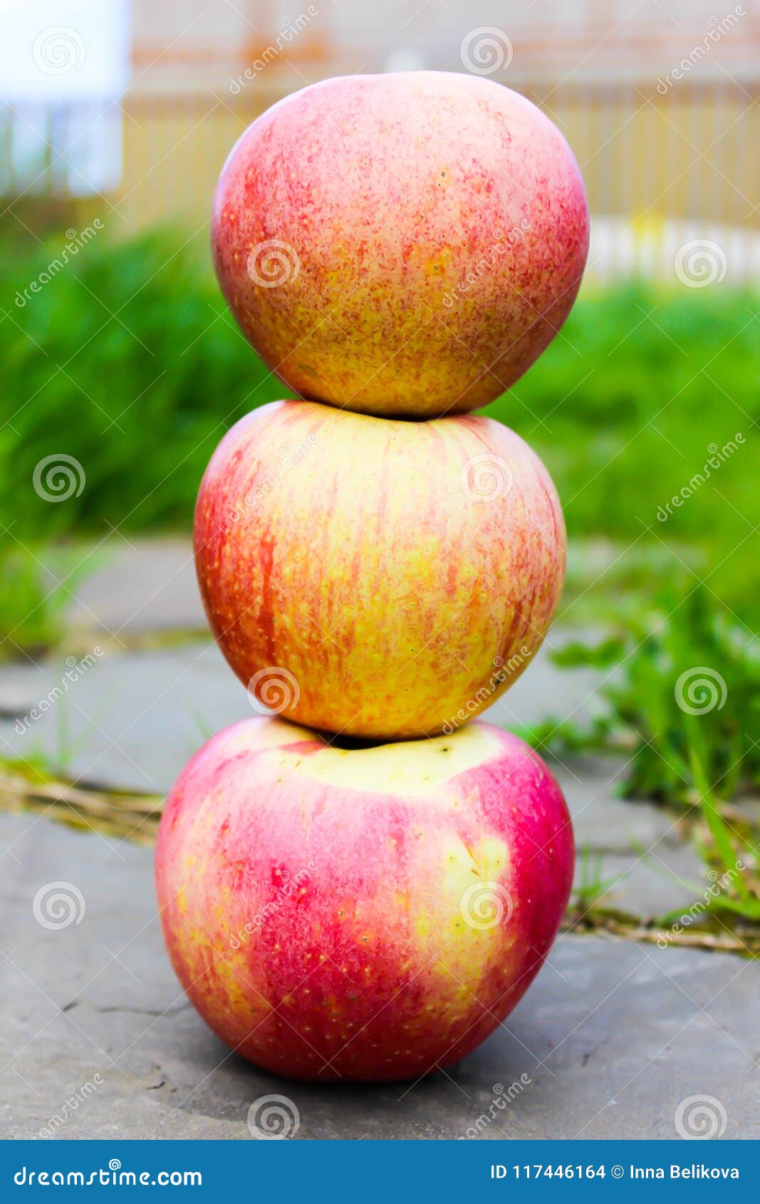 Three red apples pyramid stock photo. Image of green - 117446164