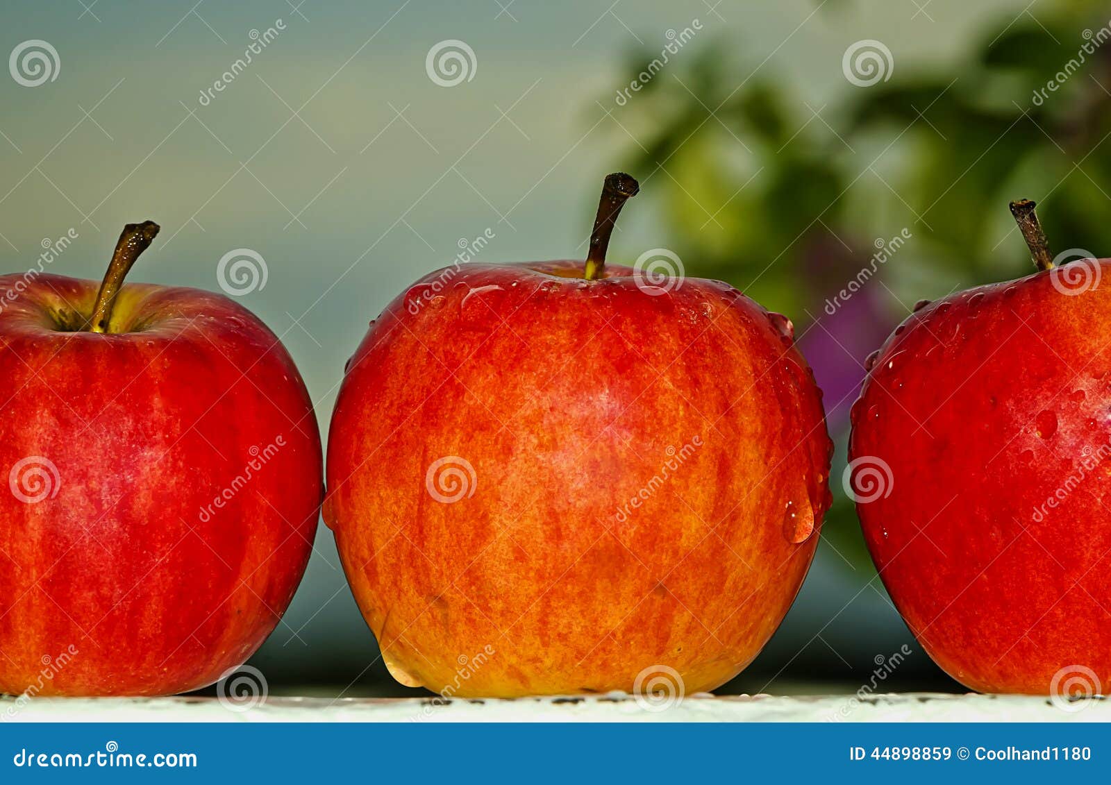 Three red apples stock image. Image of fresh, delicious - 44898859