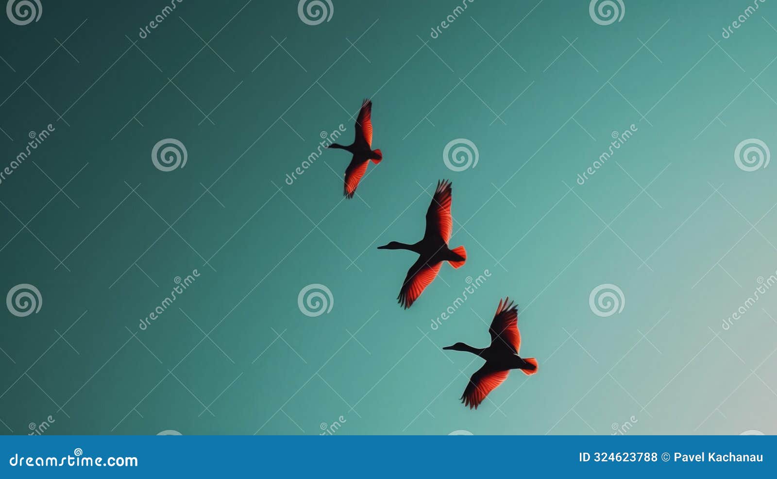 Three Red Birds Soar in a V-shaped Pattern Stock Illustration ...