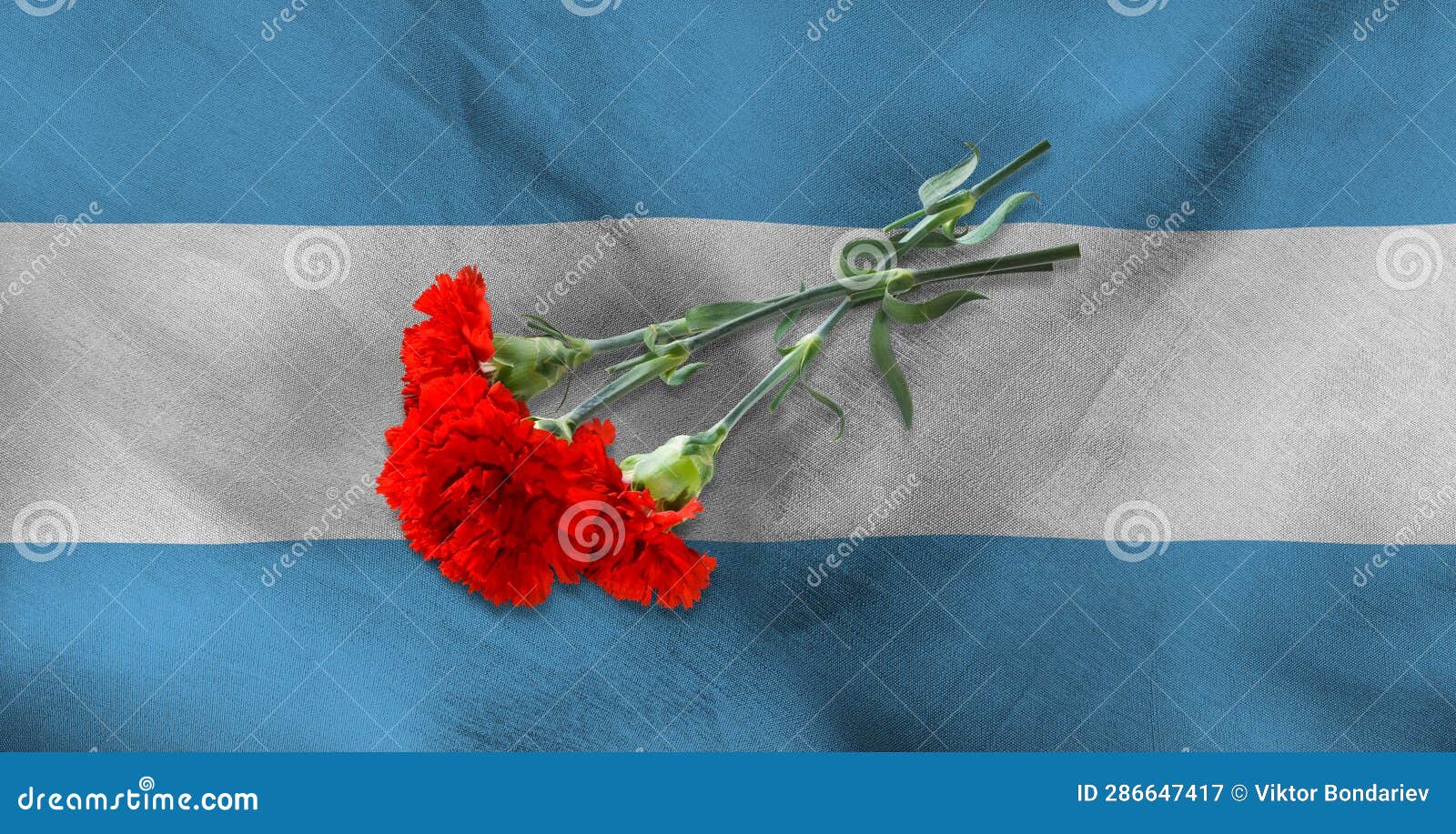 Three Red Carnations Lying on the Flag of Argentina Stock Image - Image ...
