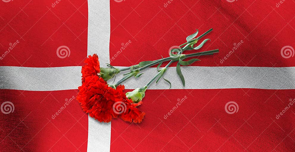 Three Red Carnations Lying on the Flag of Denmark Stock Photo - Image ...