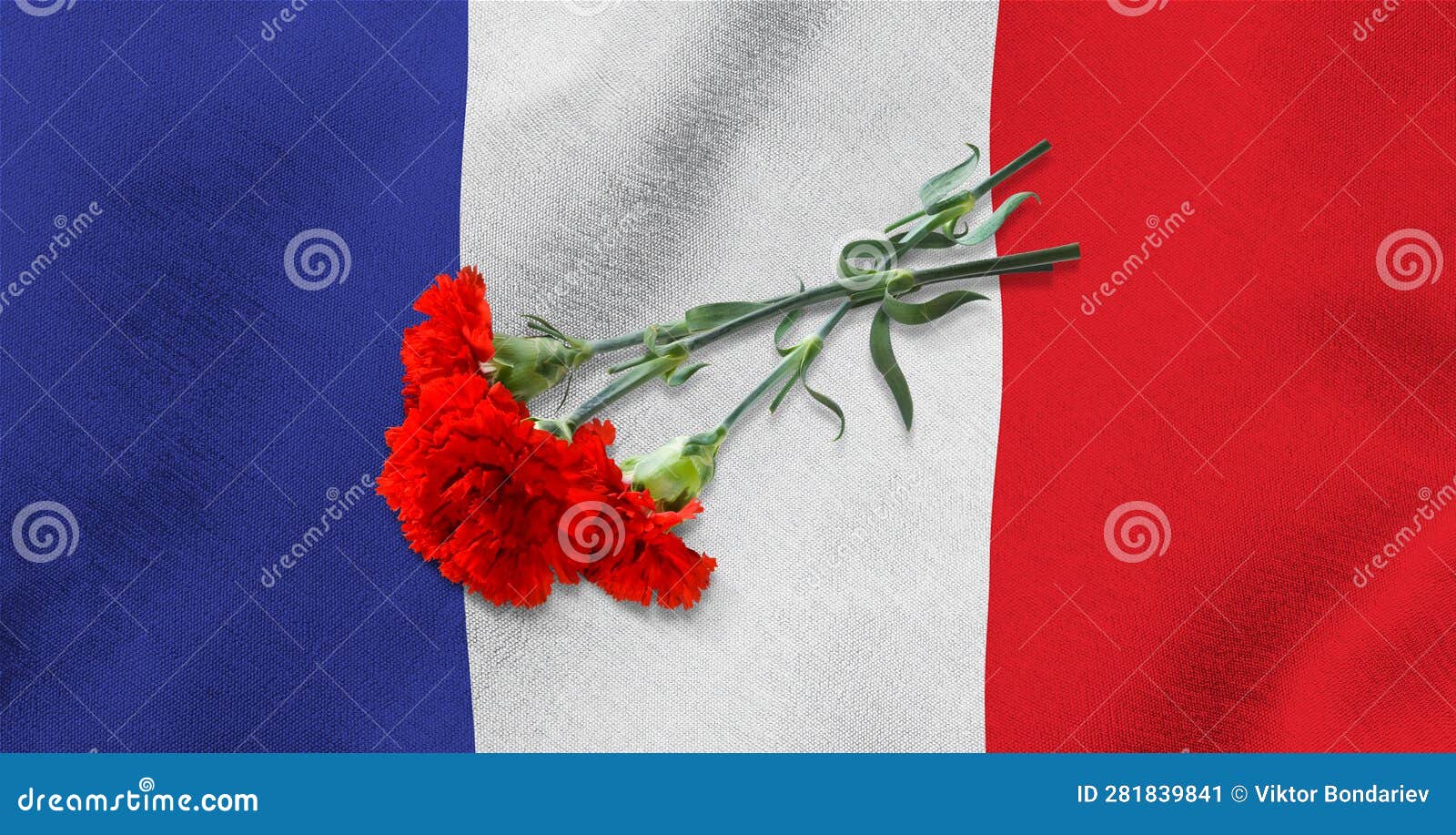 Three Red Carnations Lying on the Flag of France Stock Image - Image of ...