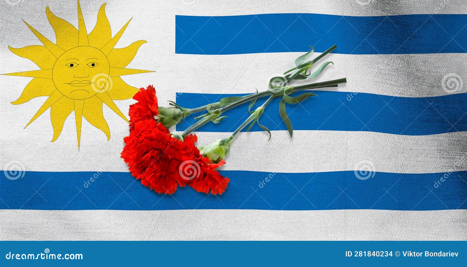 Three Red Carnations Lying on the Flag of Uruguay Stock Photo - Image ...