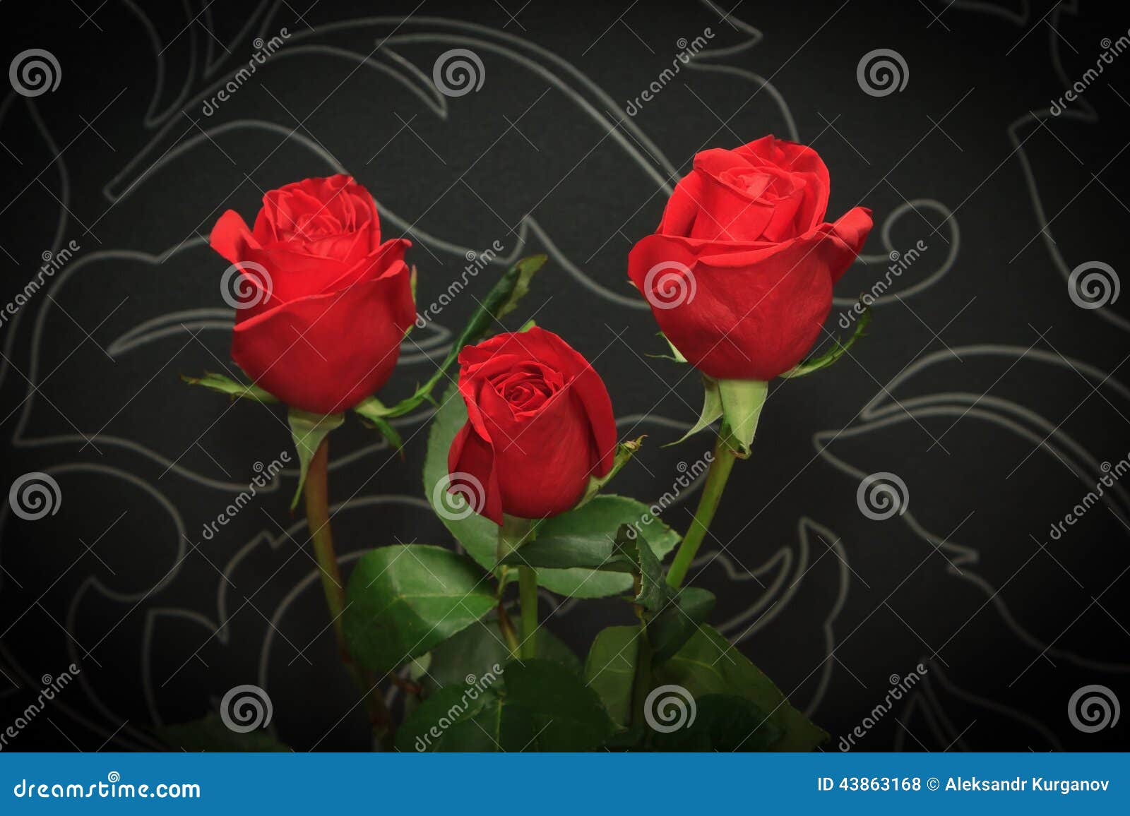 Three Red Fresh Roses Over Black Backround Stock Photo - Image of ...