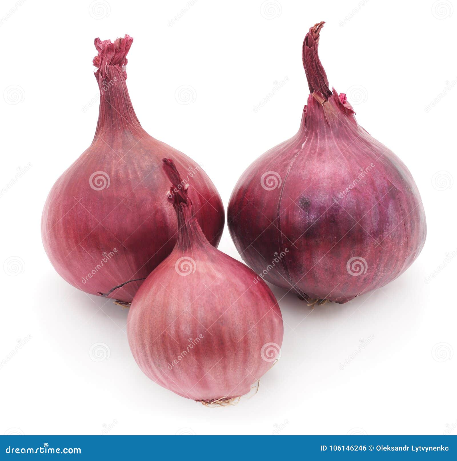 Three red onions. stock photo. Image of slice, freshness - 106146246