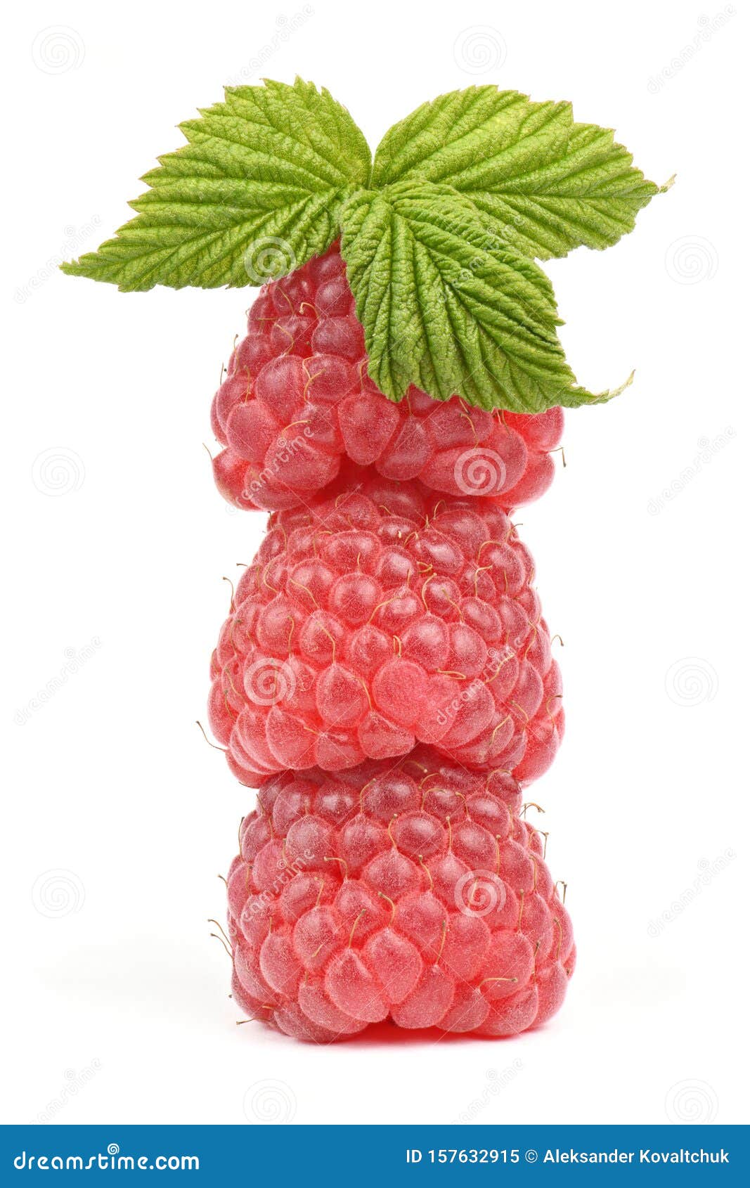 Three Red Raspberry Berries Stock Image - Image of ingredient, cutout ...