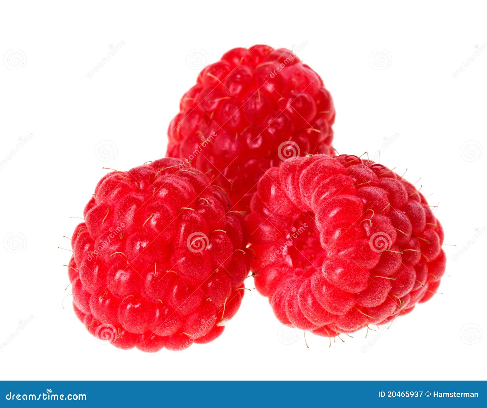 Three Red Ripe Raspberry Fruit Stock Image - Image of delicious ...