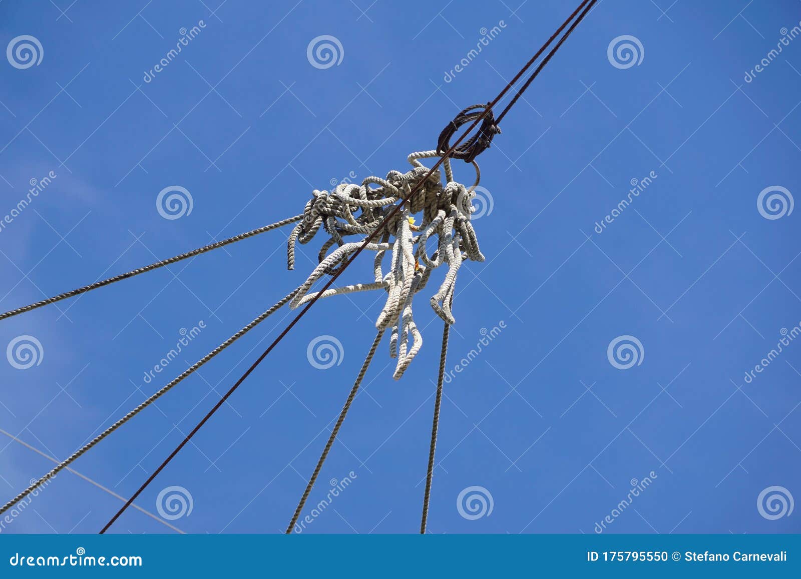 Three Red Ropes Attached To a Metal Ring. Stock Photo - Image of ...