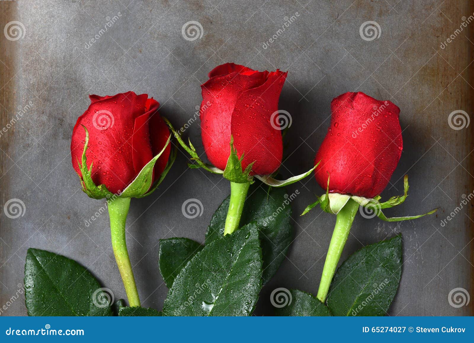 Three Red Rose Buds stock image. Image of holiday, valentines - 65274027