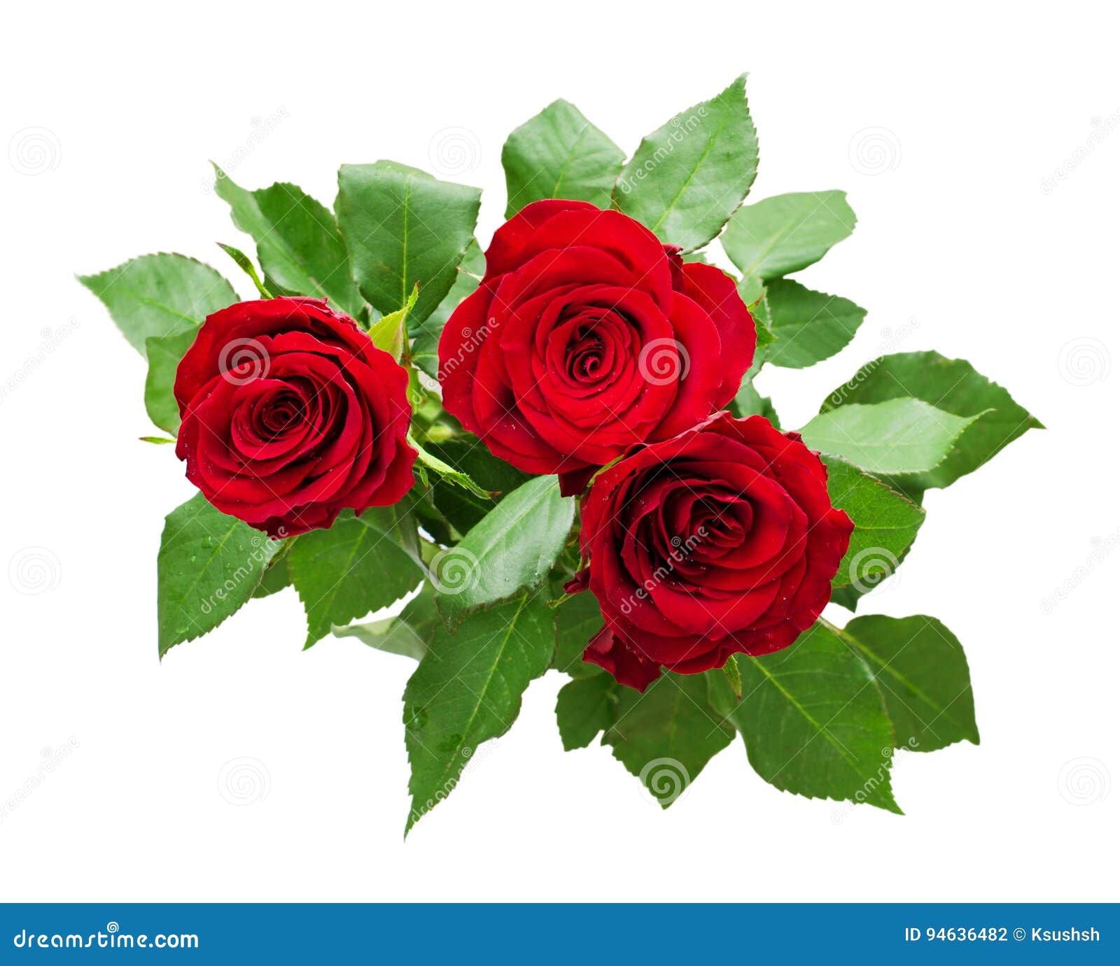Three Red Rose Flowers Bouquet Stock Photo - Image of bouquet, festive ...