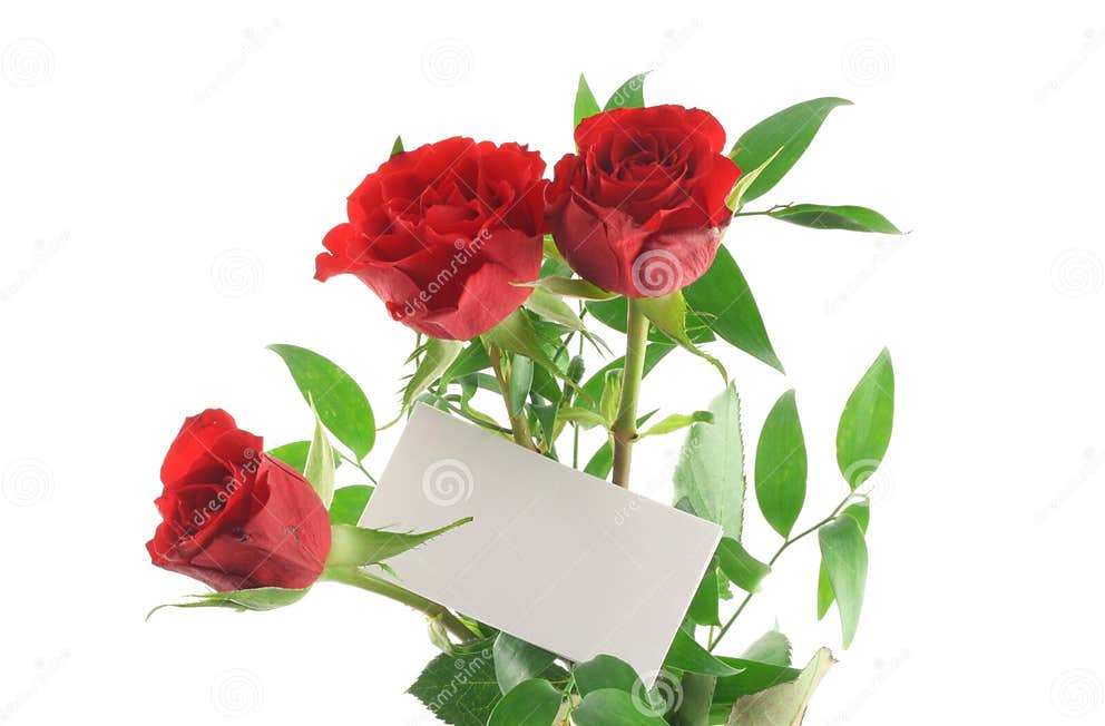Three Red Roses with Blank Love Note Stock Image - Image of bloom ...