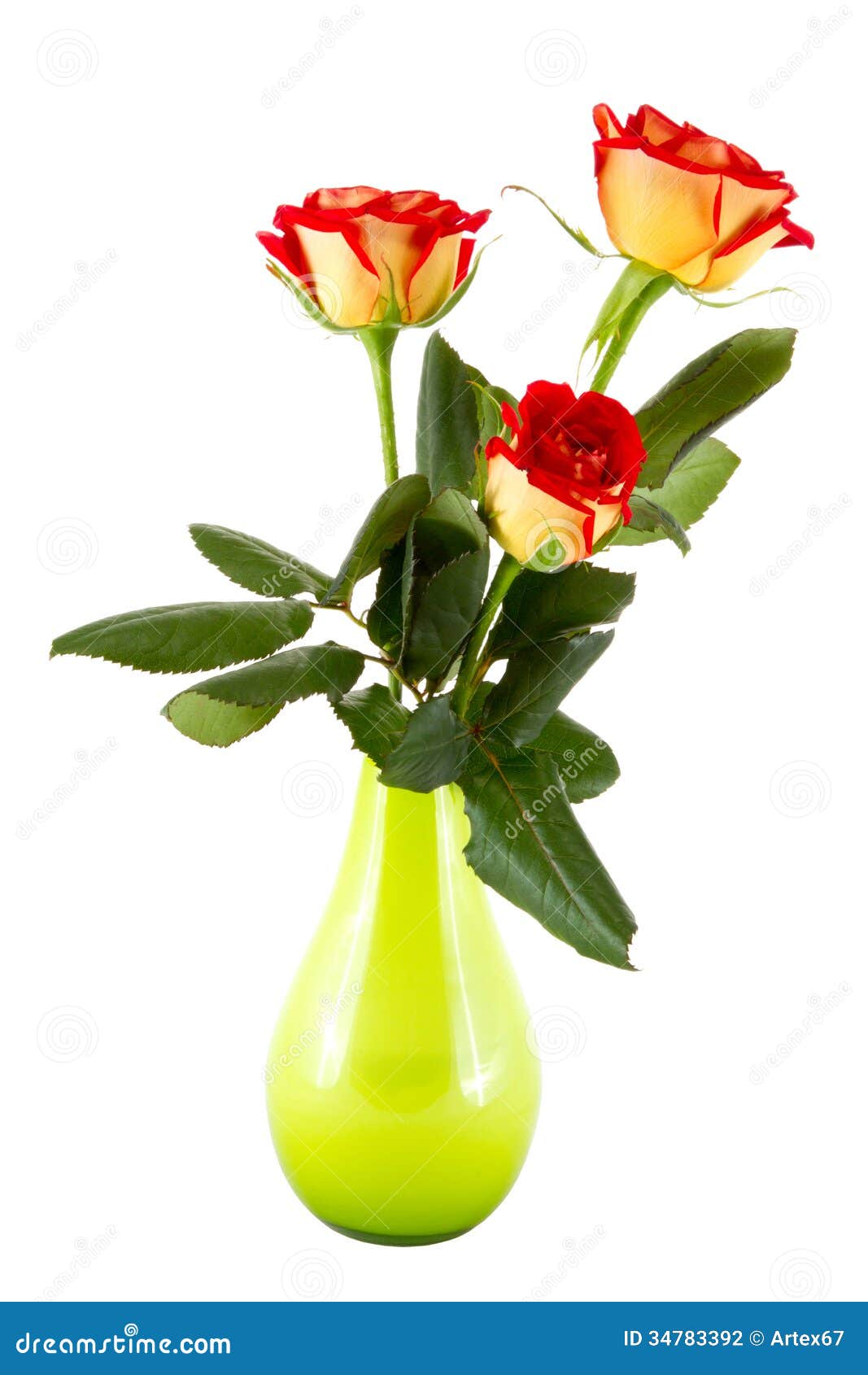 Three Red Roses in a Green Vase Stock Photo - Image of bouquet, bunch ...