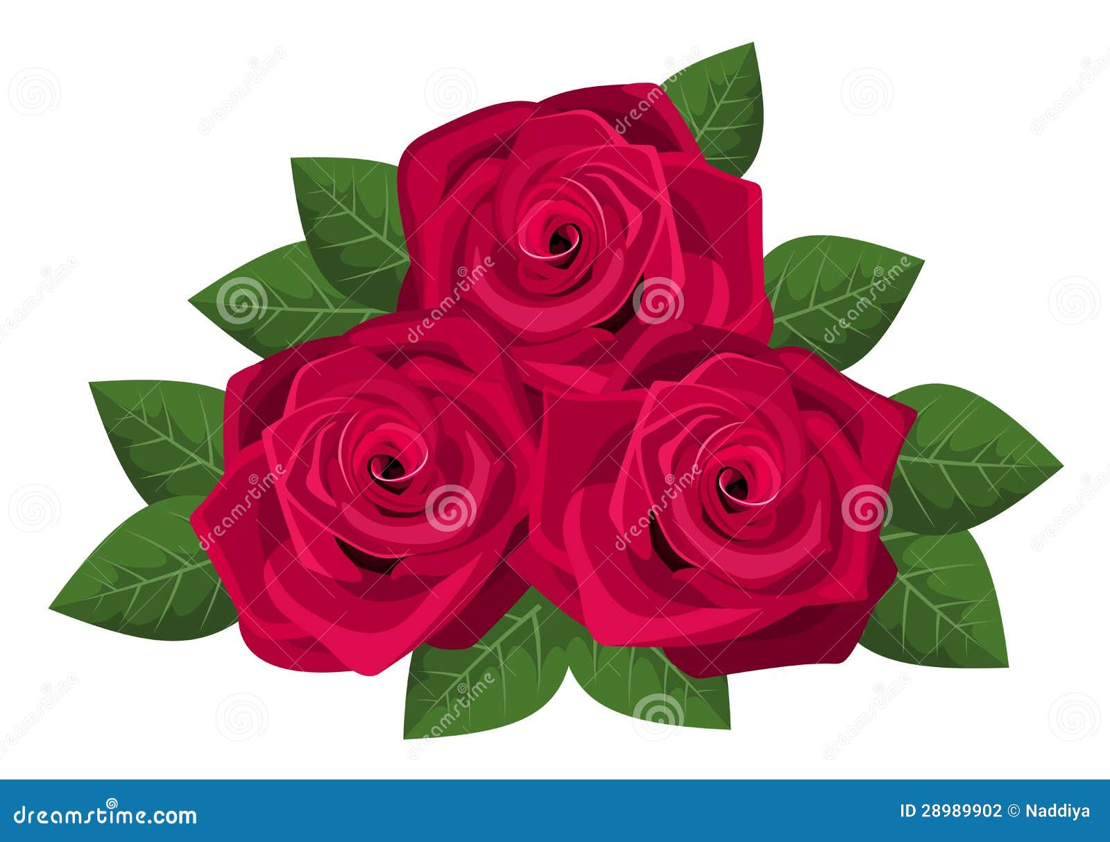 Three Red Roses White Background Stock Illustrations – 414 Three Red ...