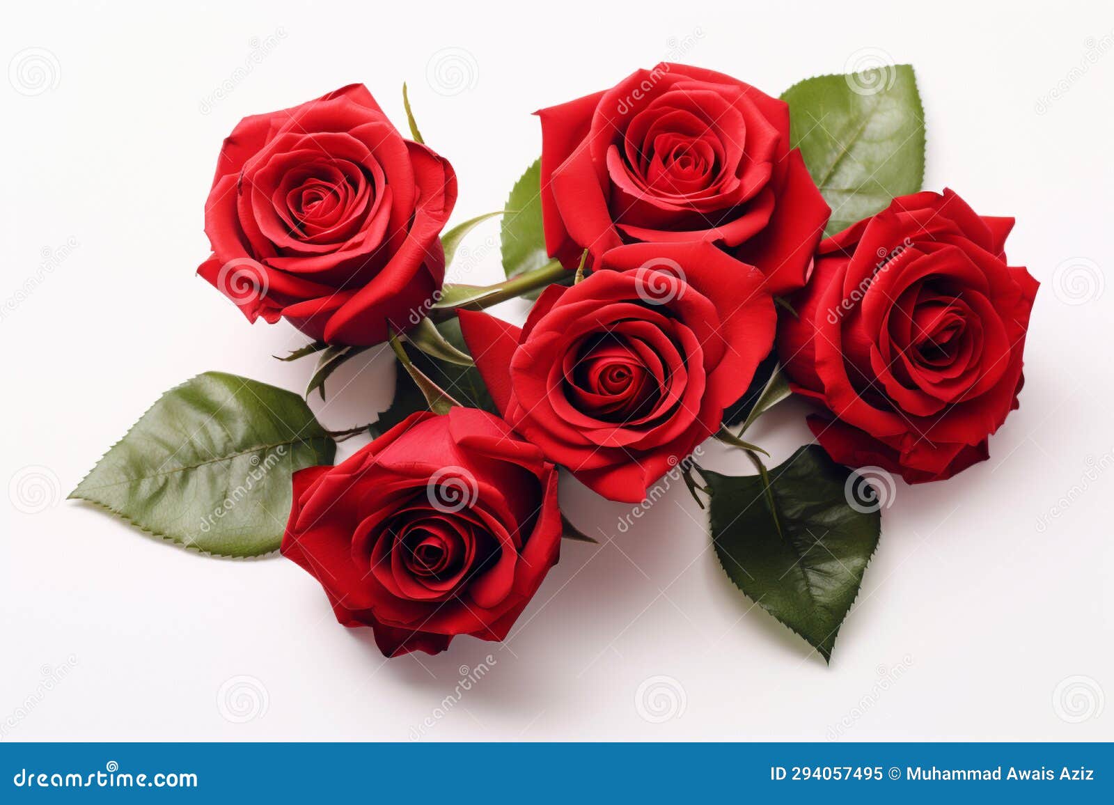 Three Red Roses Isolated on White Background. Close-up Image Stock ...