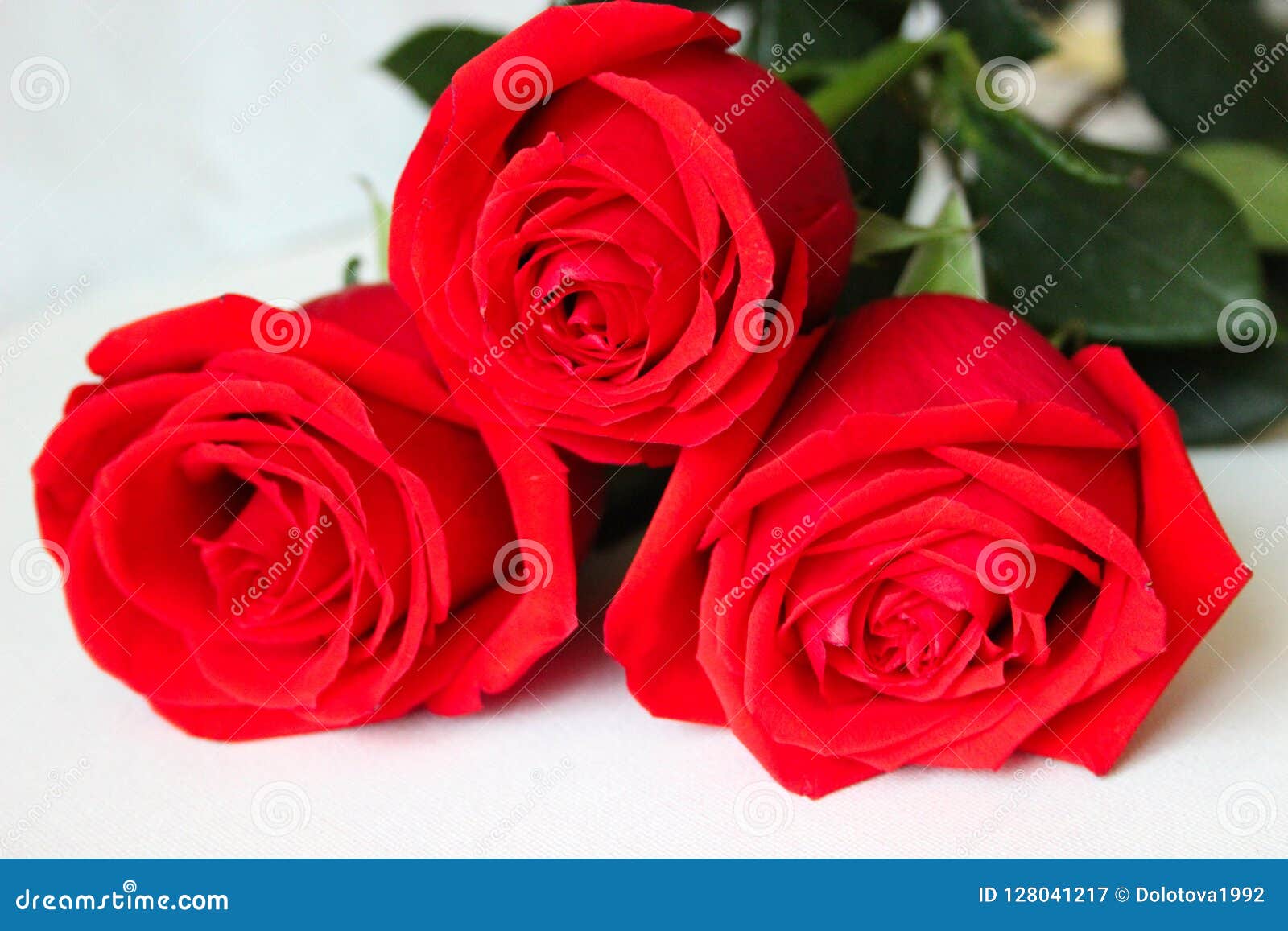 Three red roses stock image. Image of glade, green, flowers - 128041217