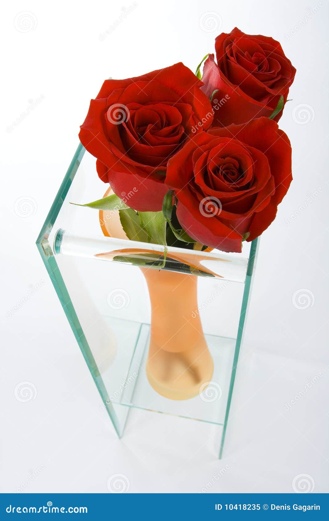 Three red roses in a vase stock image. Image of blossom - 10418235