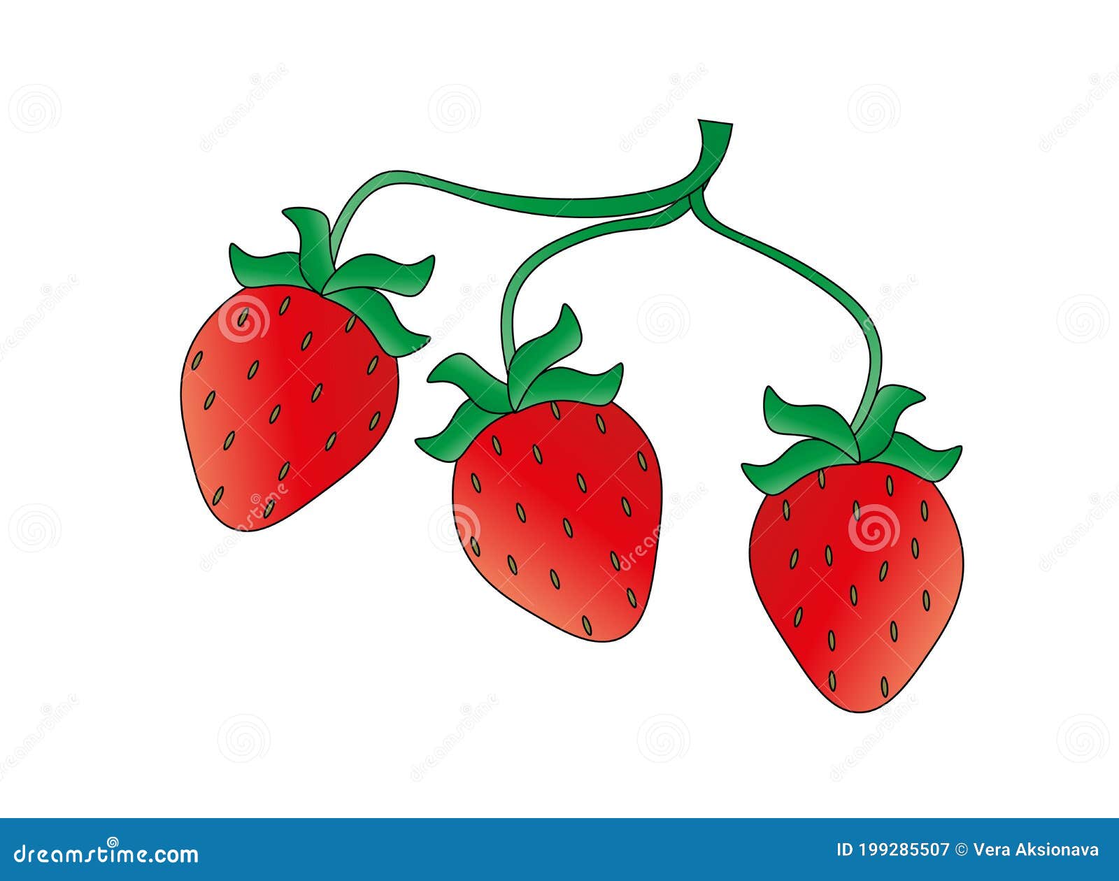 Three Strawberries on a Branch, Vector Illustration Stock Illustration ...