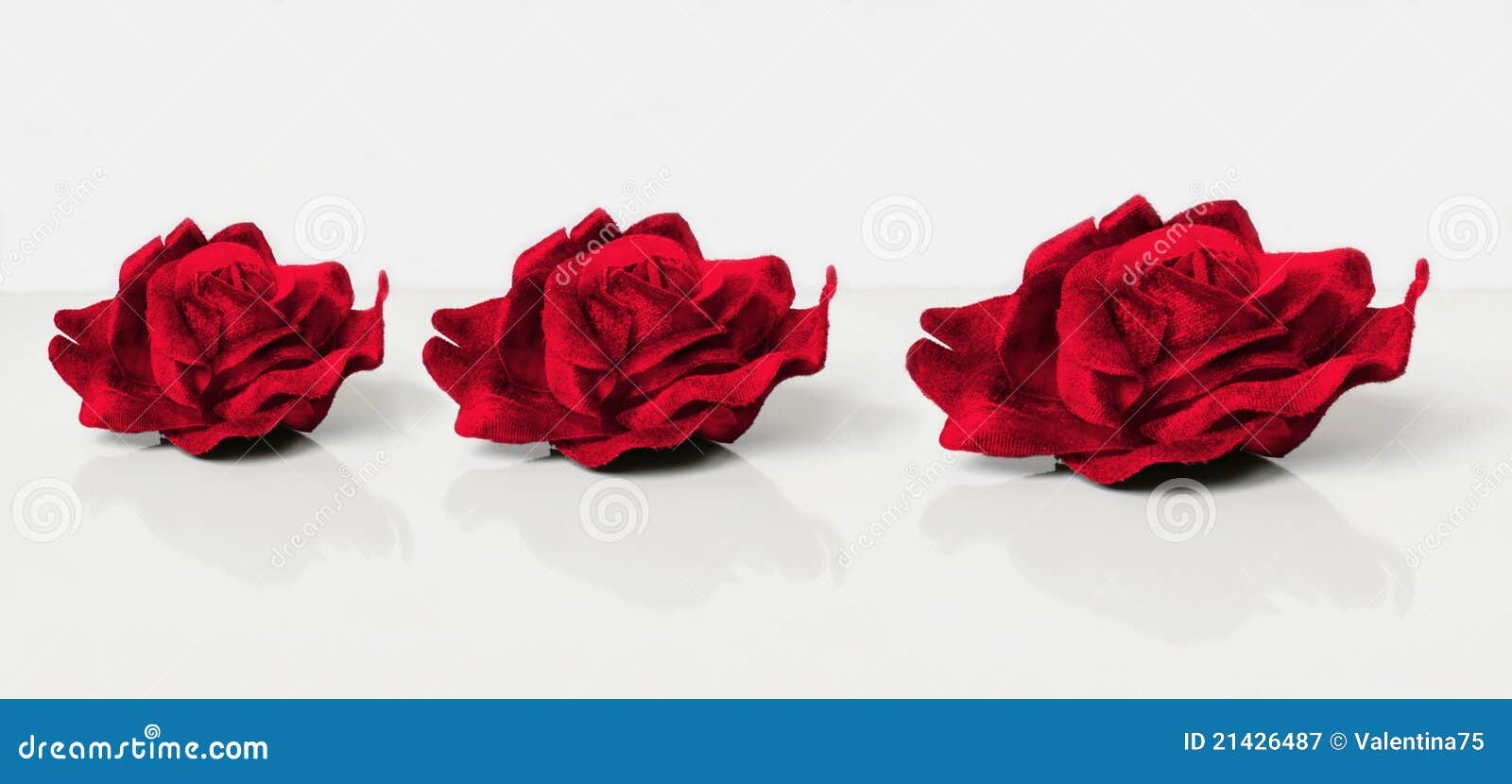 Three red velvet roses stock image. Image of background - 21426487
