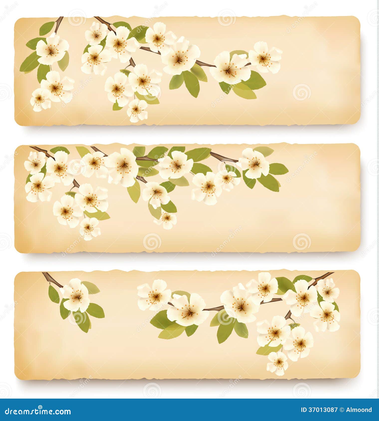 Retro Spring Design Cartoon Vector | CartoonDealer.com #10264847