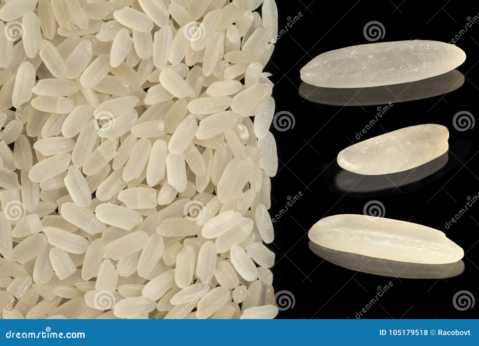 Three rice grains stock photo. Image of agriculture - 105179518