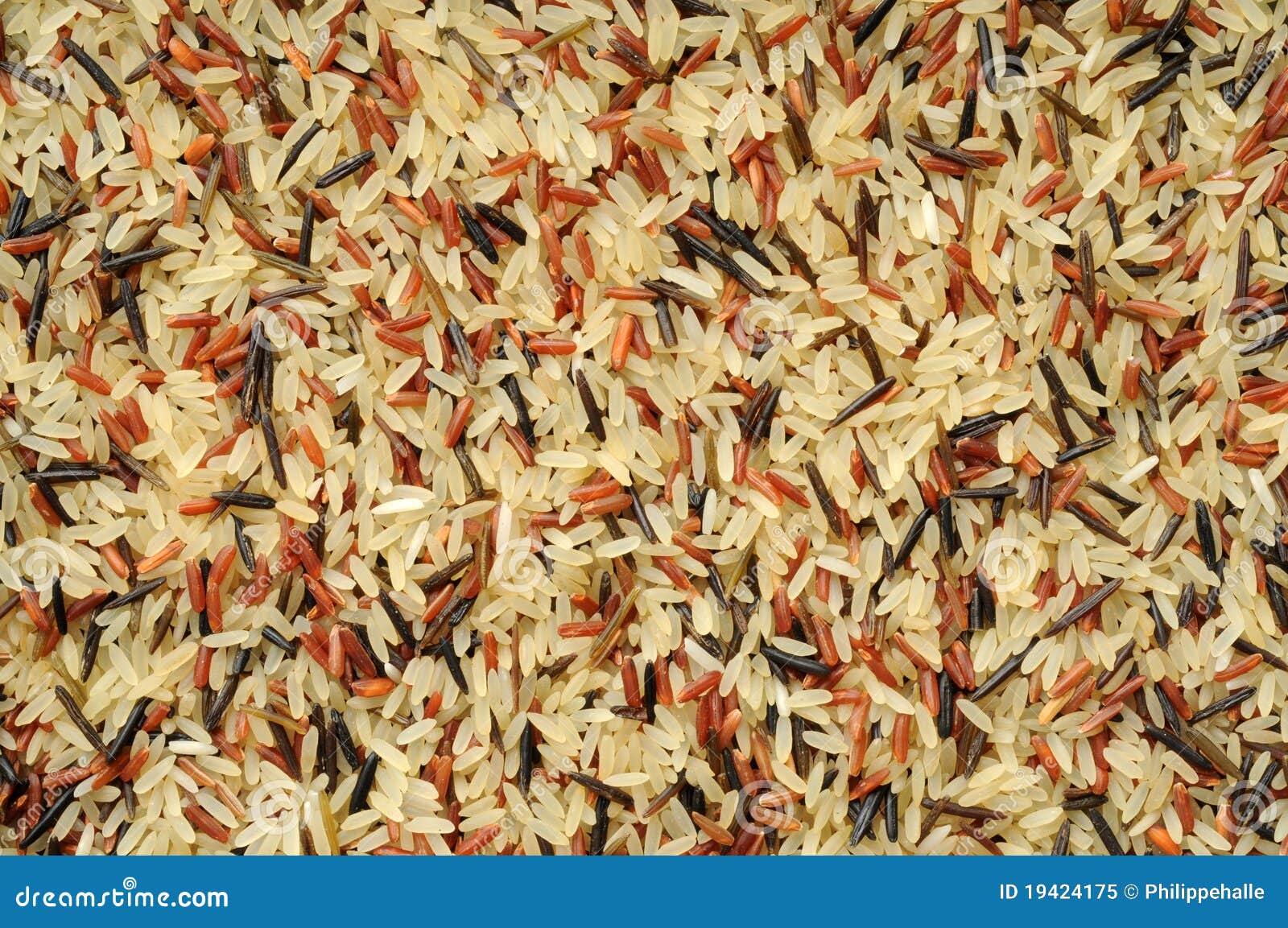 Three rices stock image. Image of black, close, grain - 19424175